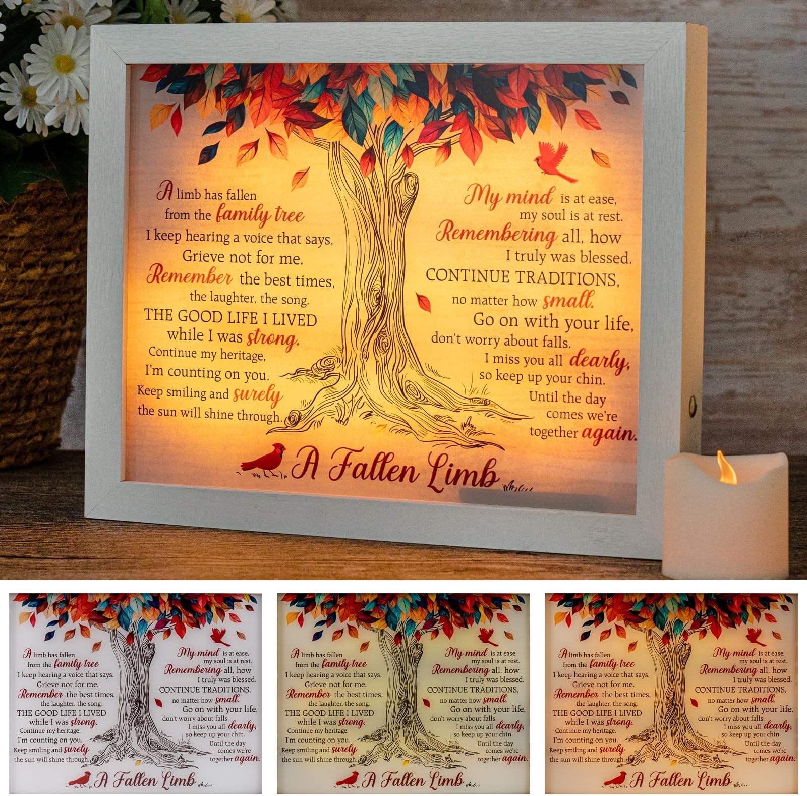 Amazon.com - HN HAIINAA Sympathy Gift LED Memorial Shadow Box Memorial ...