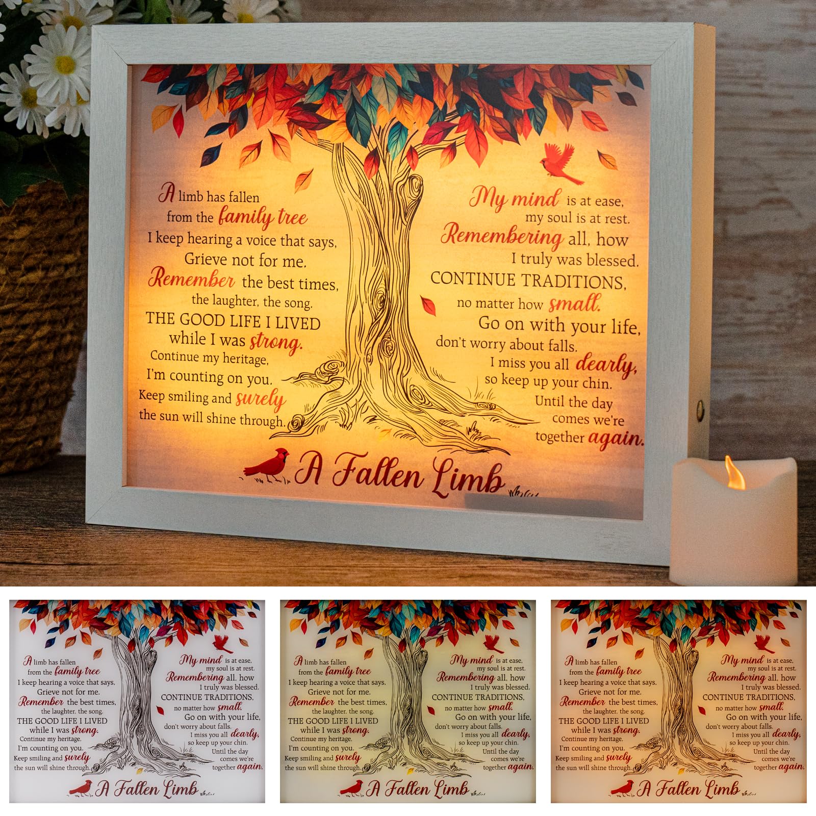 Snapklik.com : HN HAIINAA Sympathy Memorial Shadow Box - LED Lighted