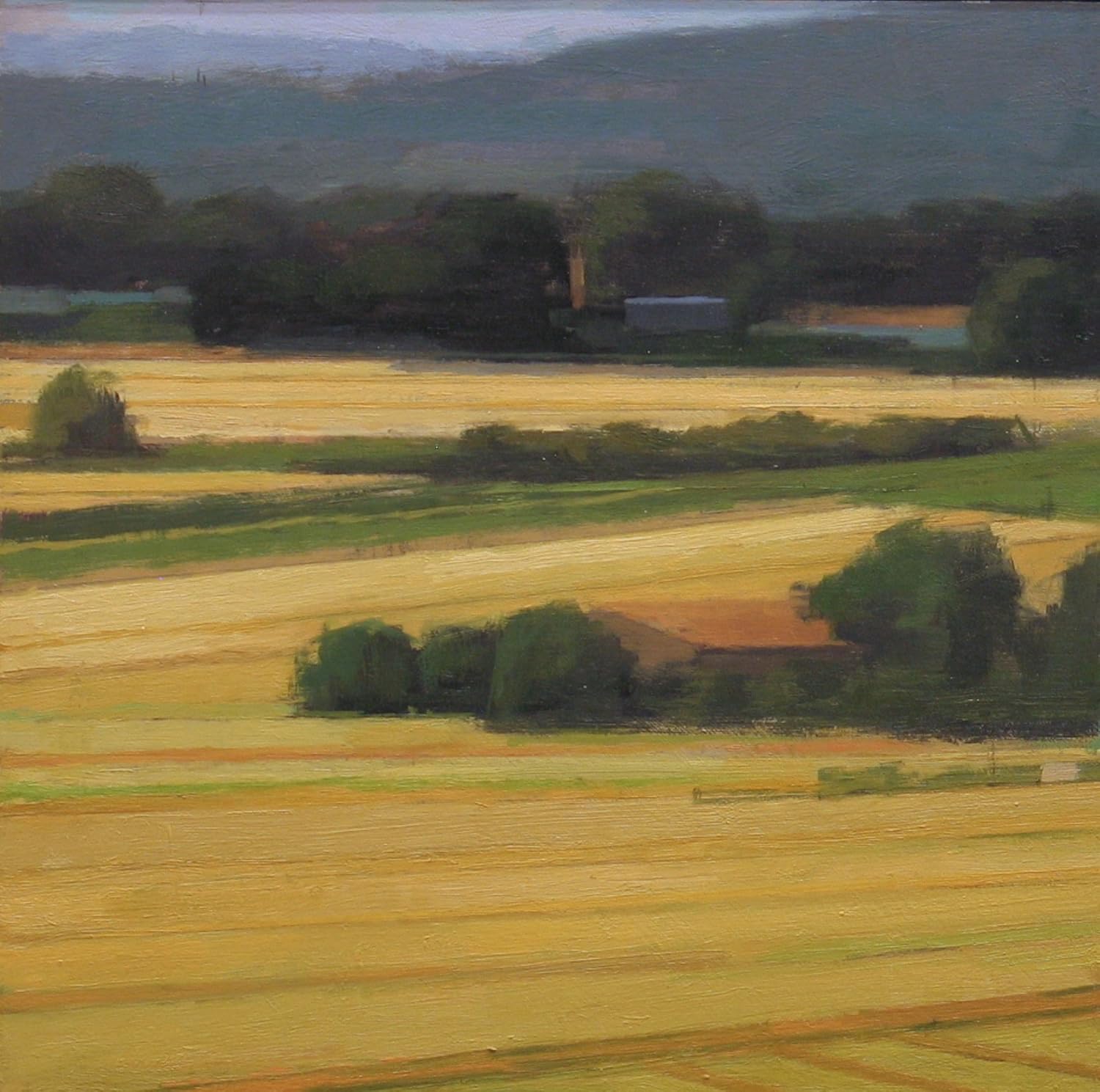 Amazon.com: Fields in Light : Claudia Rilling: Collectibles & Fine Art