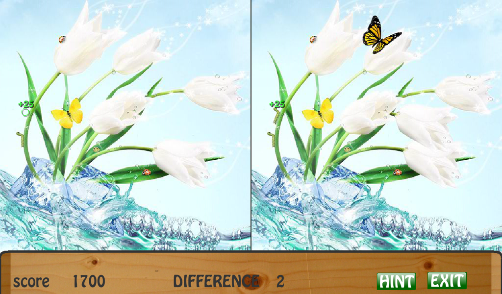 Flowers - Spot the Difference - App on Amazon Appstore