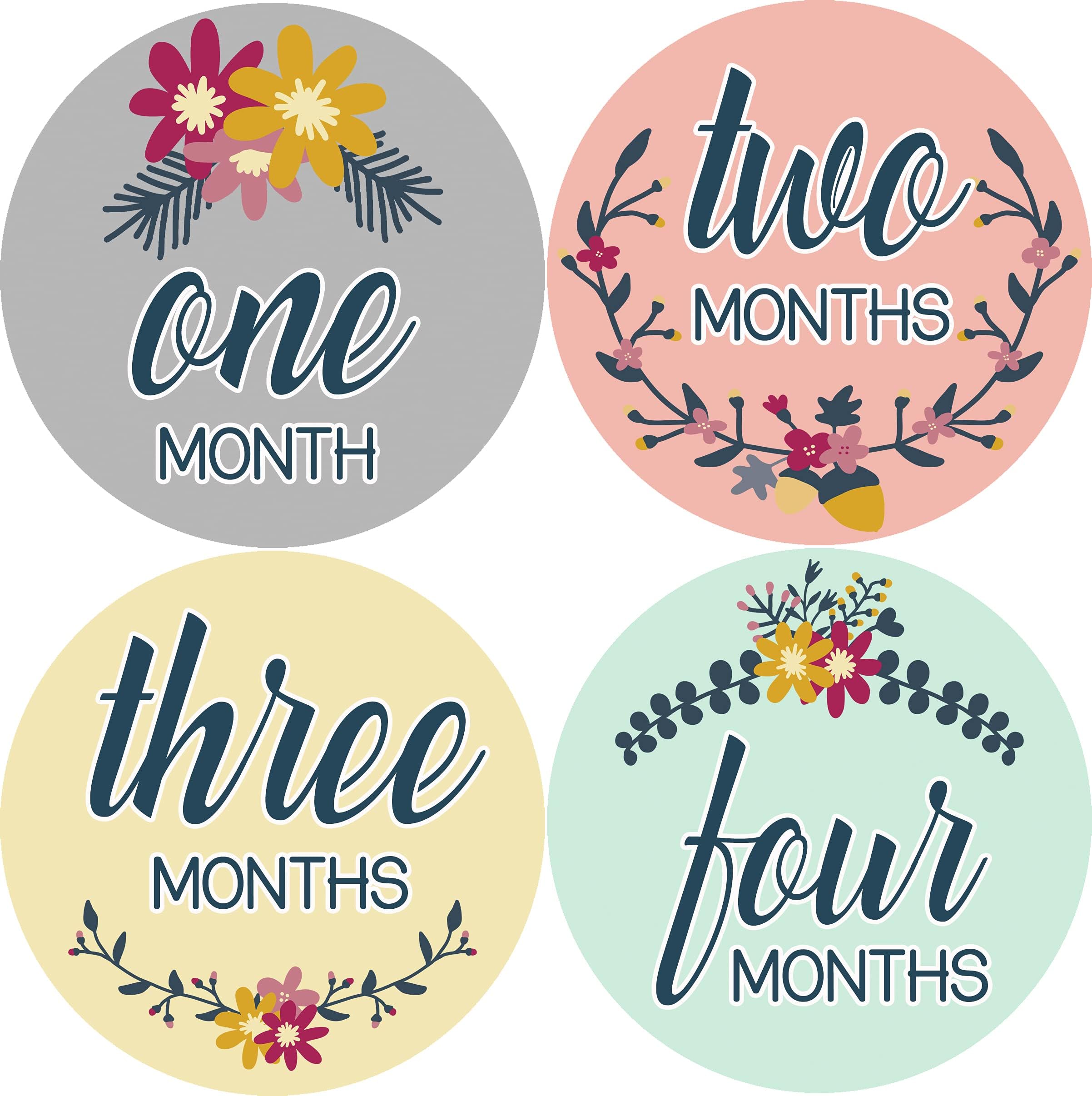 Amazon.com: Baby Monthly Milestone Tie Stickers - Stickers for Infant ...