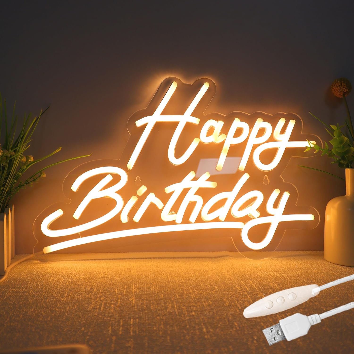 Amazon.com : Happy Birthday Neon Sign with Adjustable Brightness, Usb ...
