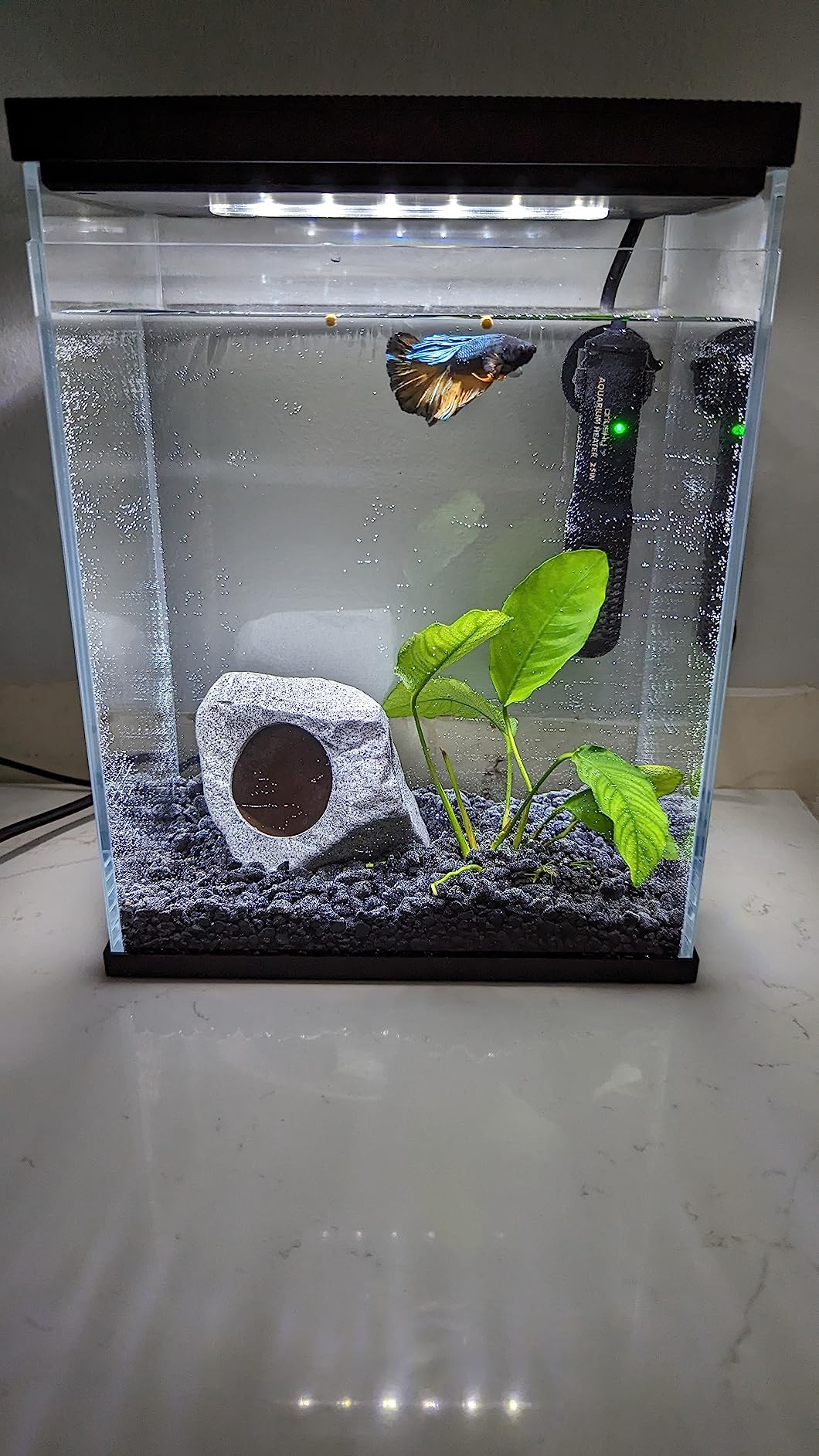 $10/mo - Finance Betta Fish Tank, 2.3 Gallon Glass Aquarium Starter Kit ...