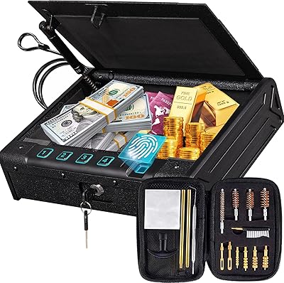 Amazon.com: AMIR Portable Safe Box, Combination Security Case LockBox ...