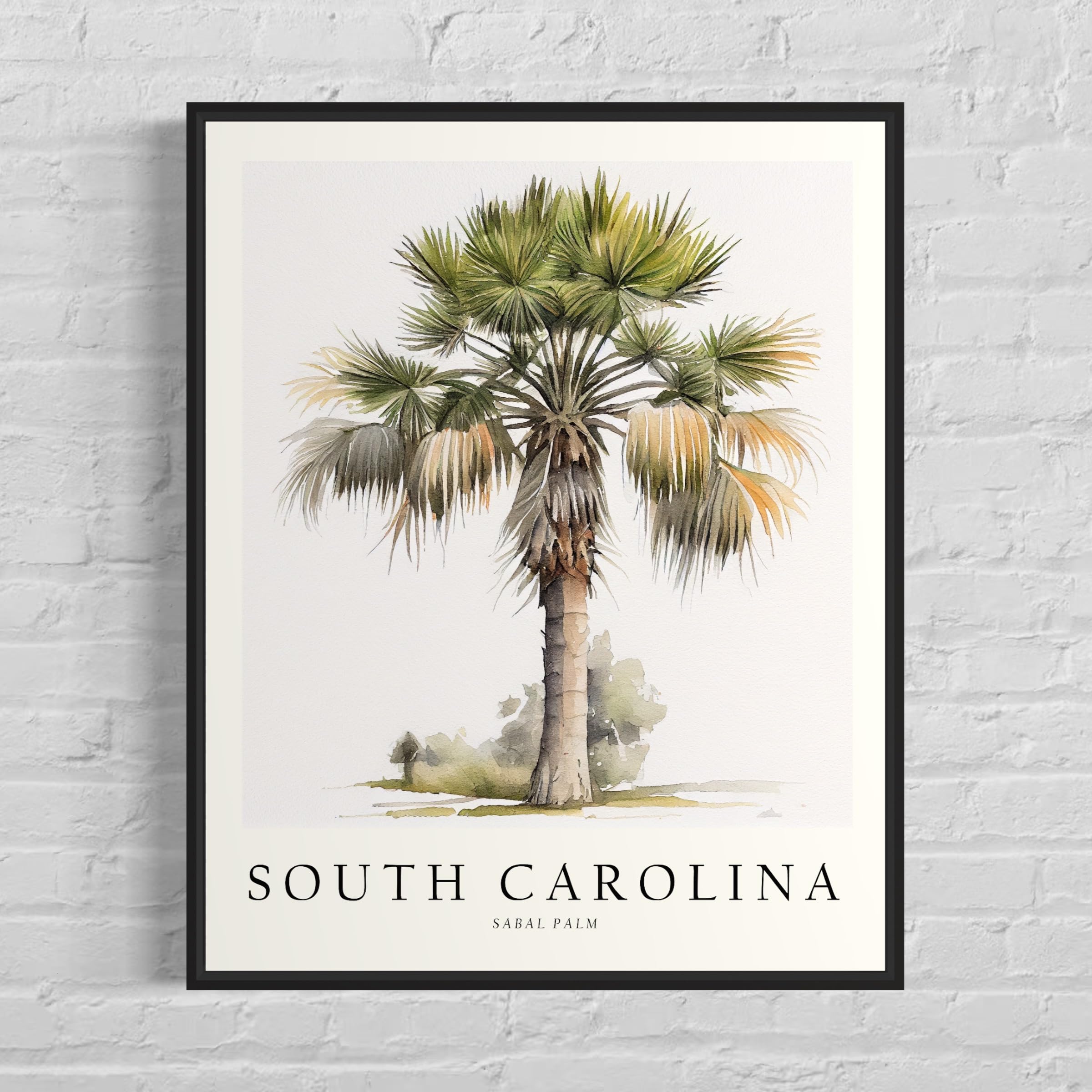 Amazon.com: South Carolina Art Print, South Carolina Poster Wall art ...