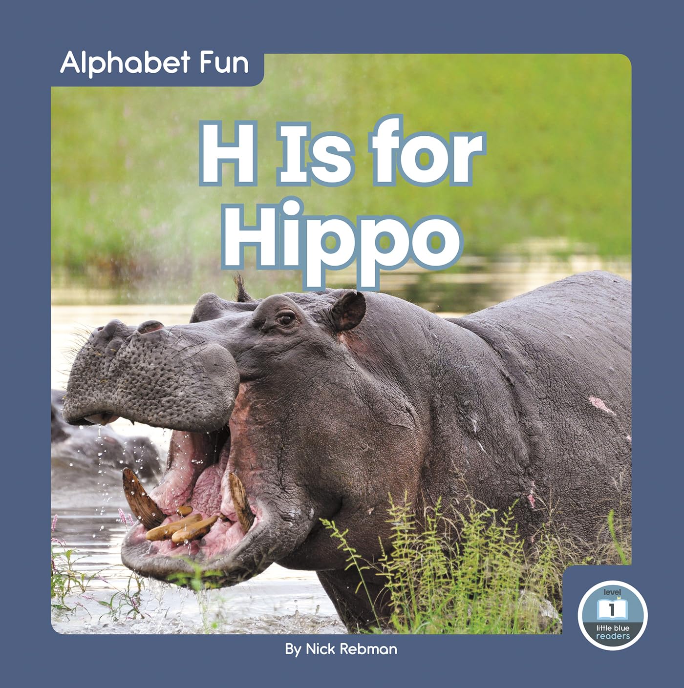Amazon.com: H Is for Hippo (Alphabet Fun: Little Blue Readers, Level 1 ...