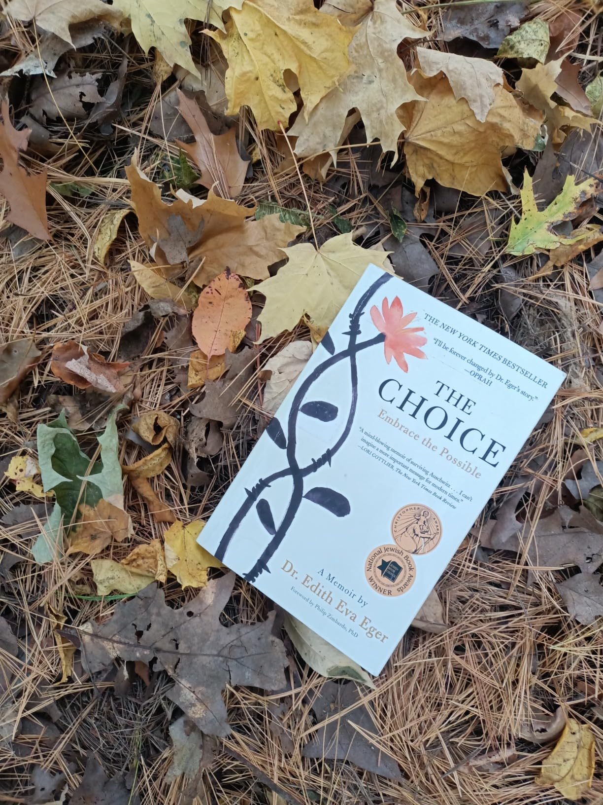 The Choice: Embrace the Possible: Eger, Dr. Edith Eva: 9781501130793 ...