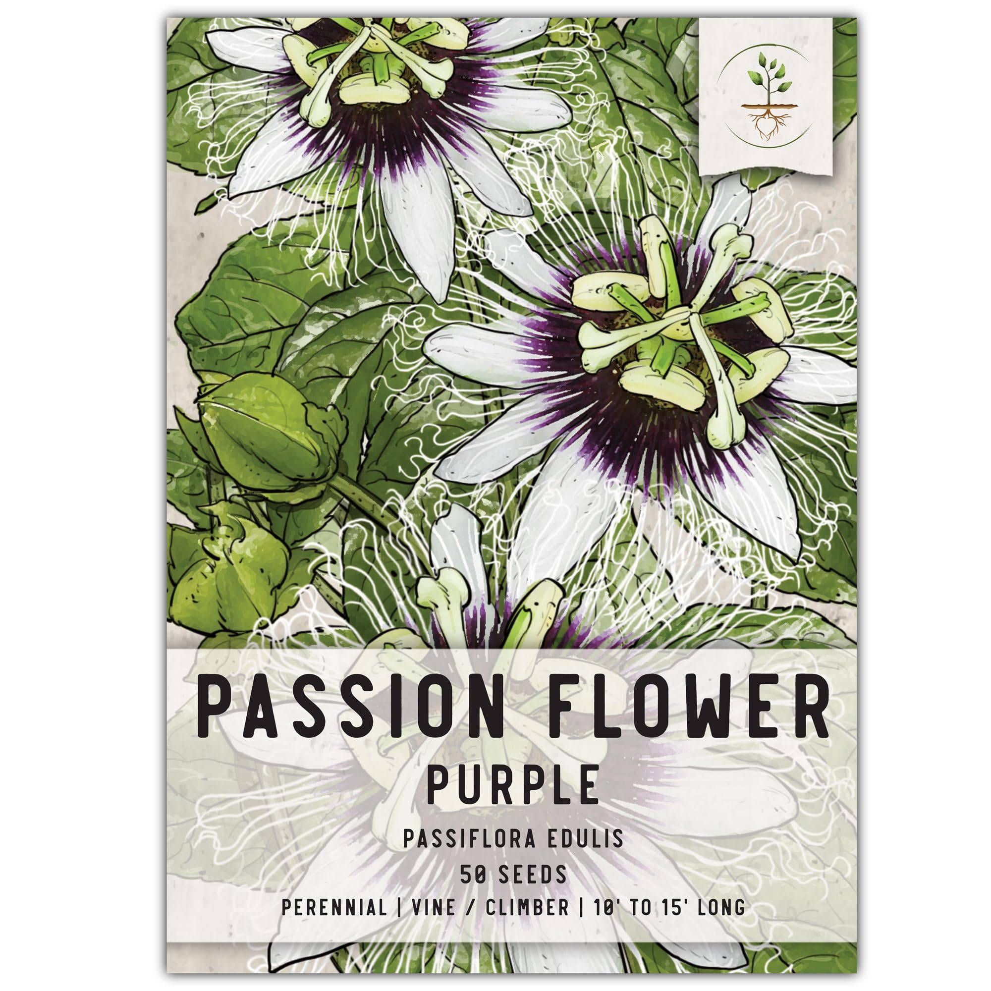 Amazon.com : Seed Needs, Purple Passion Flower Seeds - 30 Heirloom ...