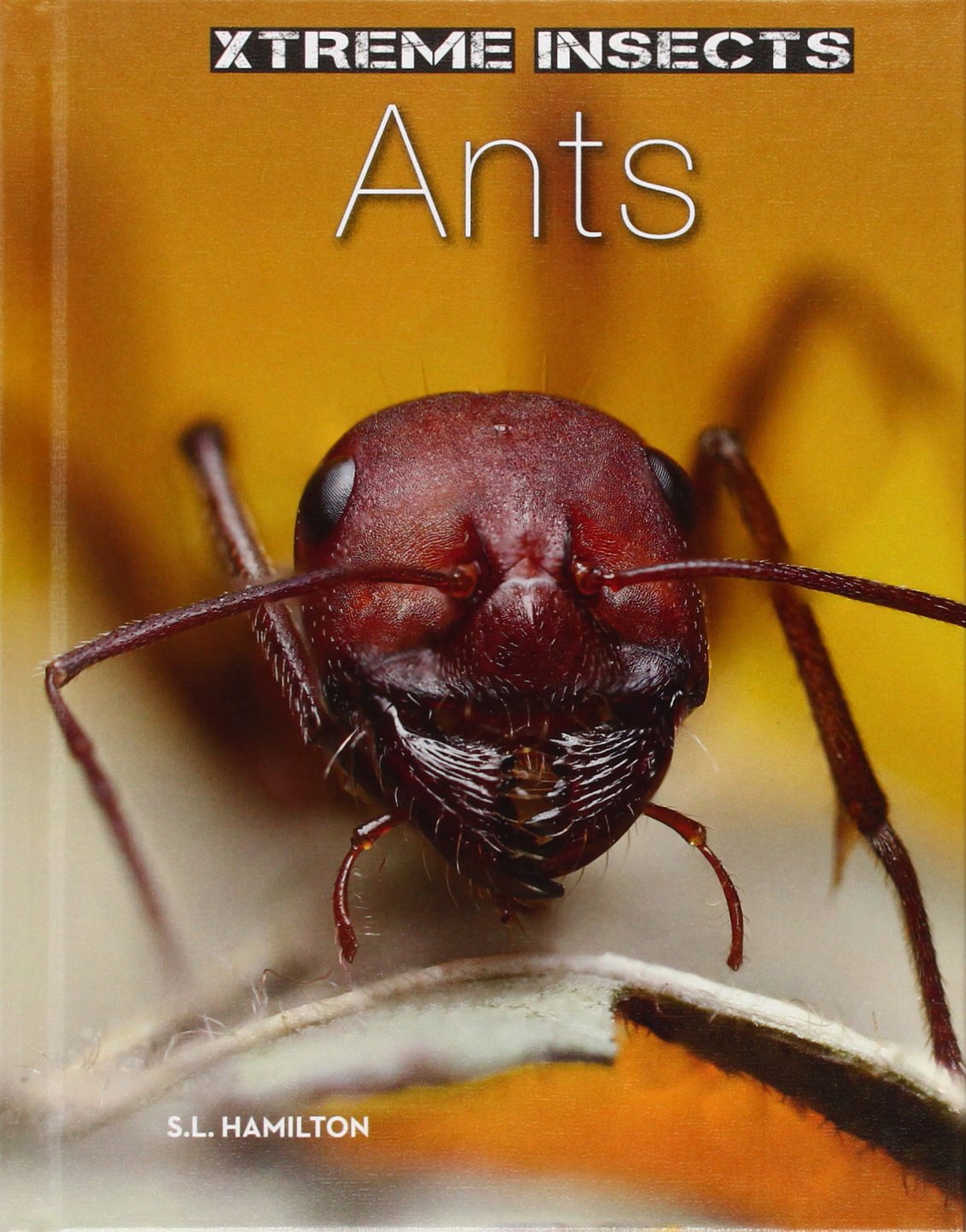 Ants (Xtreme Insects Set 1): Hamilton, S L: 9781624036866: Amazon.com ...