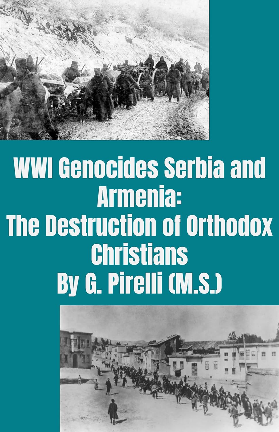 Amazon.co.jp: WWI Genocides: Serbia and Armenia: The Destruction of ...