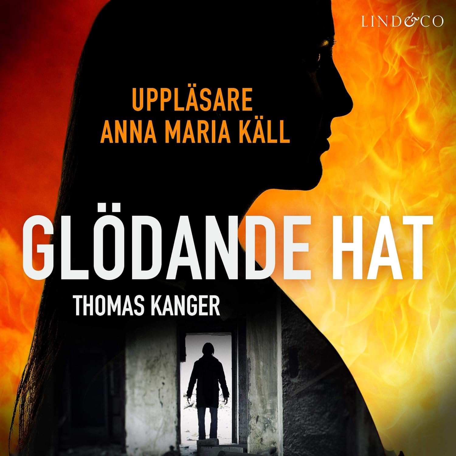 Amazon.com: Glödande hat: Elina Wiik 1 (Audible Audio Edition): Thomas ...
