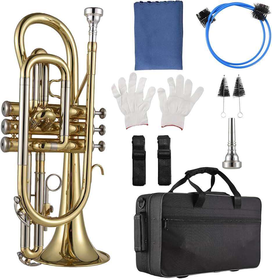 Amazon.com: Cornets - Cornets / Brass Instruments: Musical Instruments