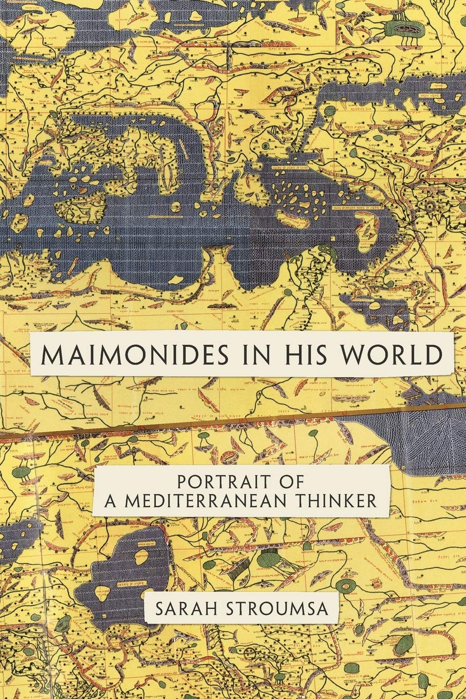 Maimonides in His World: Portrait of a Mediterranean Thinker (Jews ...