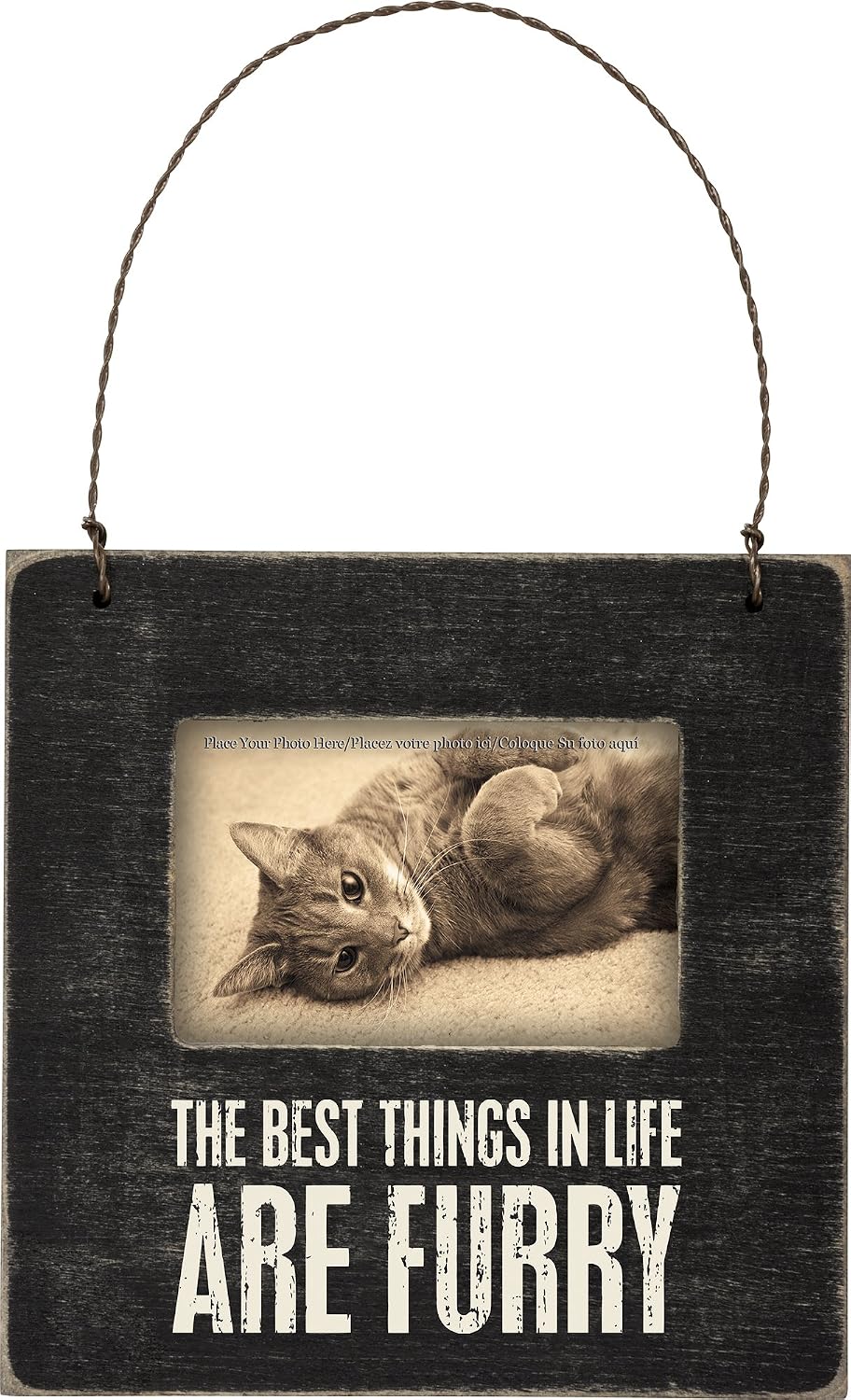 "Are Furry" Mini Frame - Set Of 2 : Amazon.ca: Home