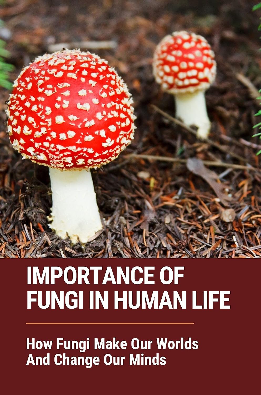 Amazon.com: Importance Of Fungi In Human Life: How Fungi Make Our ...