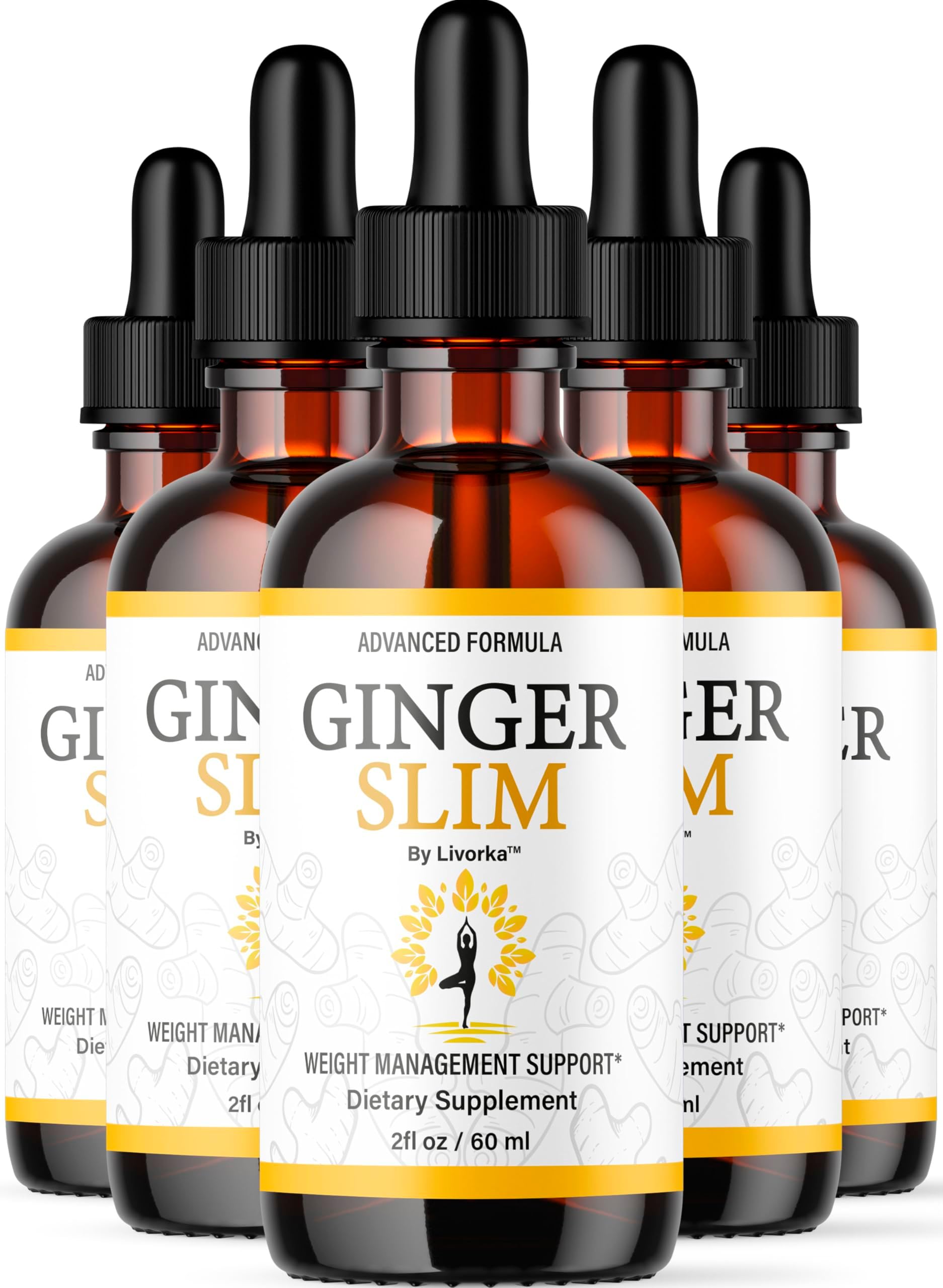 Amazon.com: (5 Pack) Ginger Slim Drops - Official GingerSlim Droppers ...