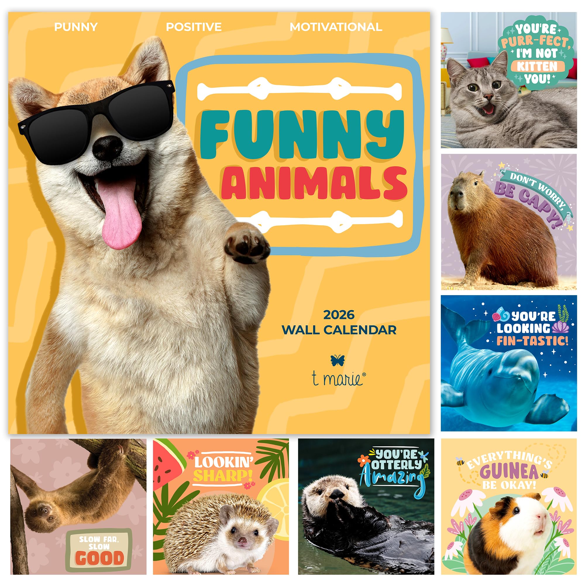 Snapklik.com : 2026 Funny Wall Calendar - Monthly 12x12” Punny Calendar
