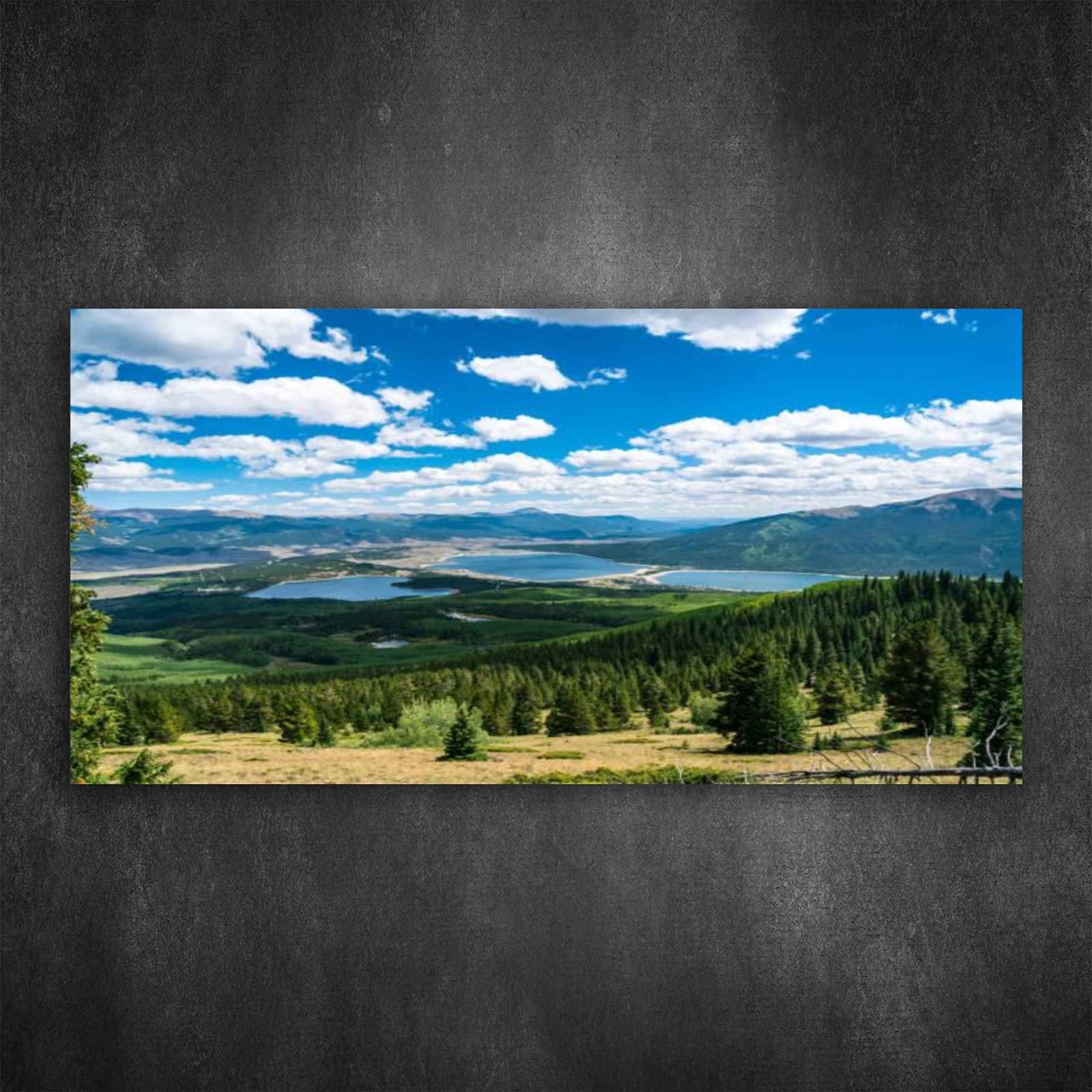 Colorado Landscape Summer
