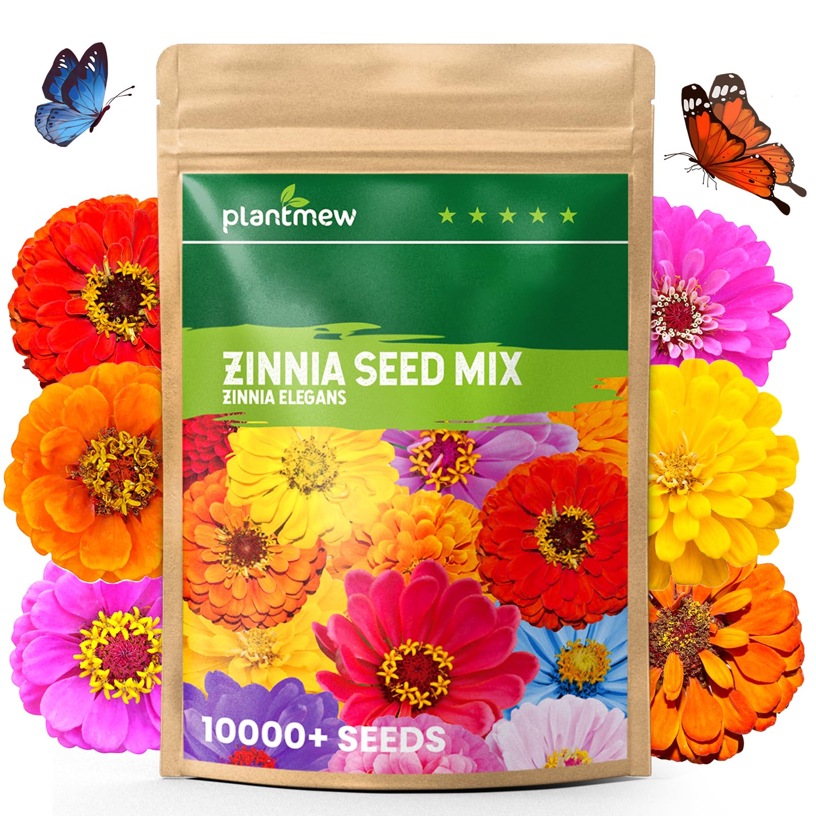 5 Best Dahlia Flowered Zinnia | Stop Settling for Singles