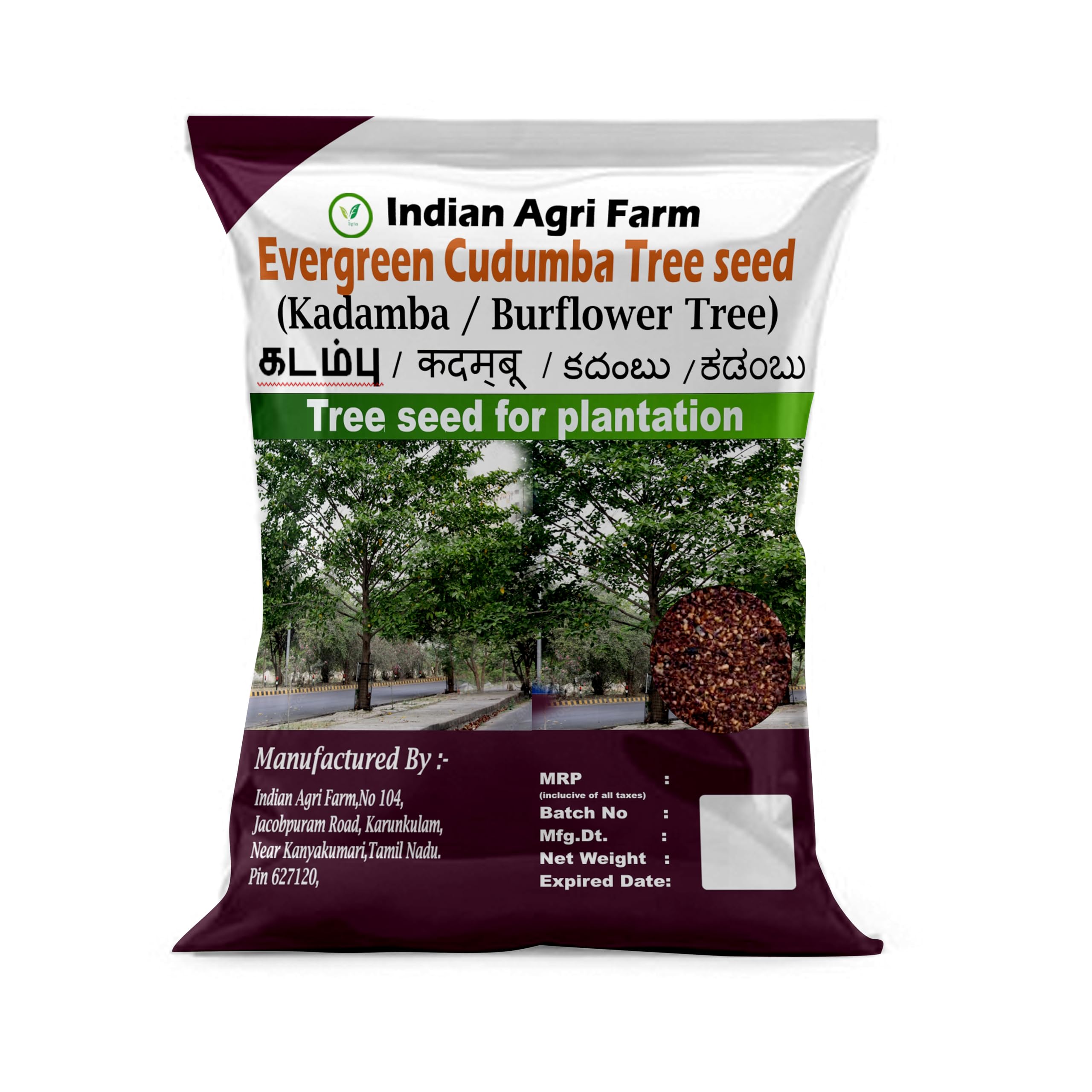 Iagrifarm Evergreen Cudumba/Kadamba/Cadamba/Burflower tree seeds - 100 ...