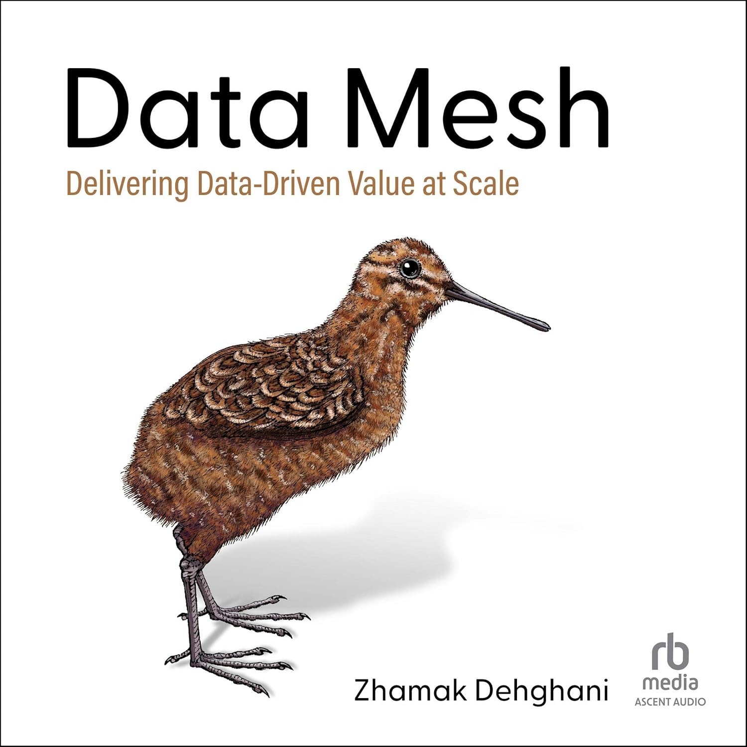 Amazon.com: Data Mesh: Delivering Data-Driven Value at Scale (Audible Audio Edition): Zhamak ...
