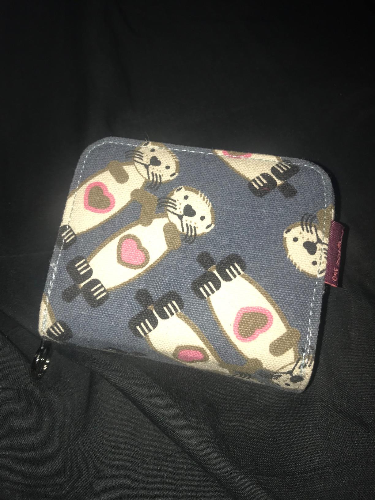 Amazon.com: bungalow 360 Billfold Wallet (Sea Otter) : Clothing, Shoes ...