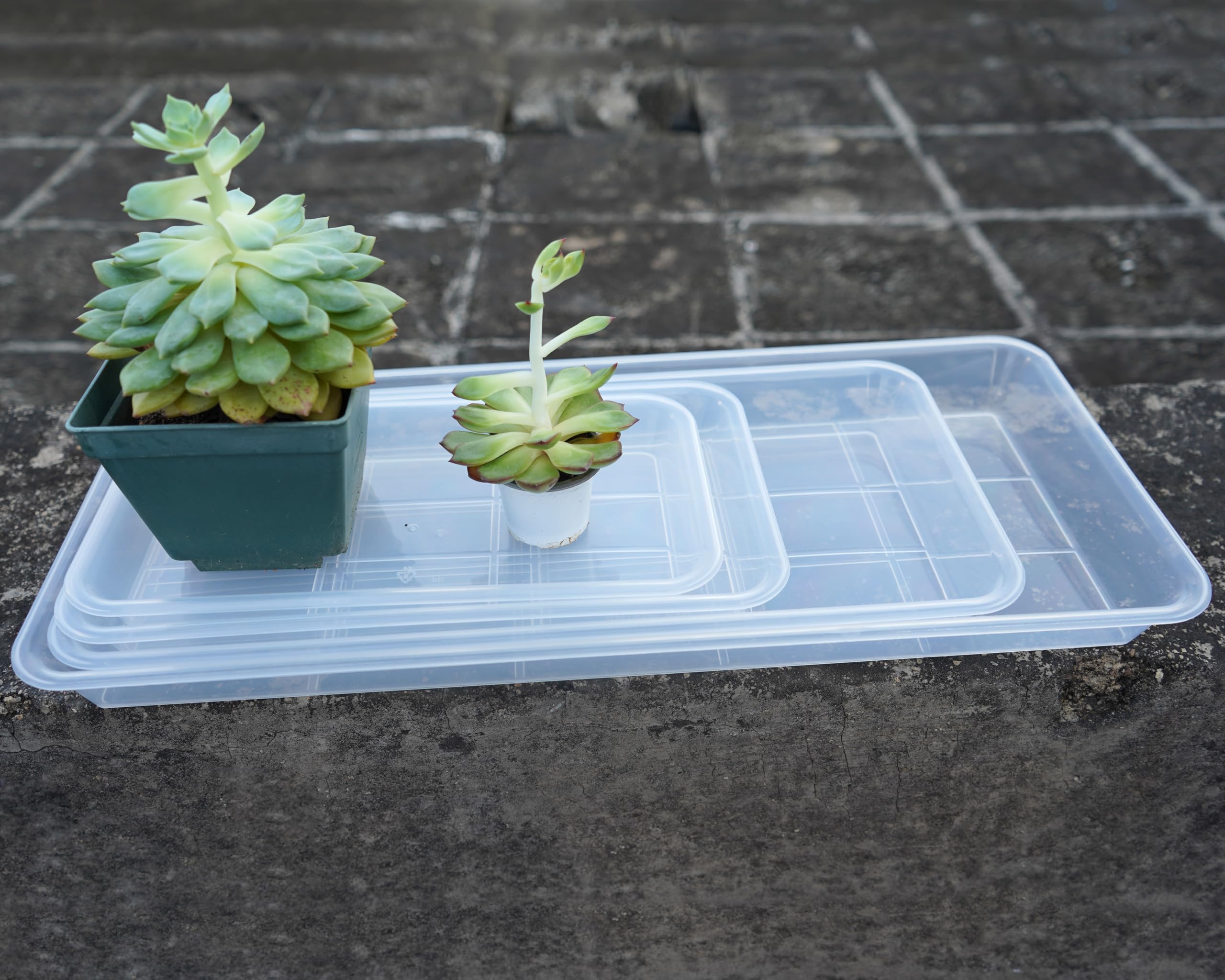 Rectangular Plant Water Trays