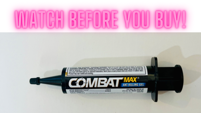 Watch An Honest Review of the Combat Max Ant Killing Gel on Amazon Live