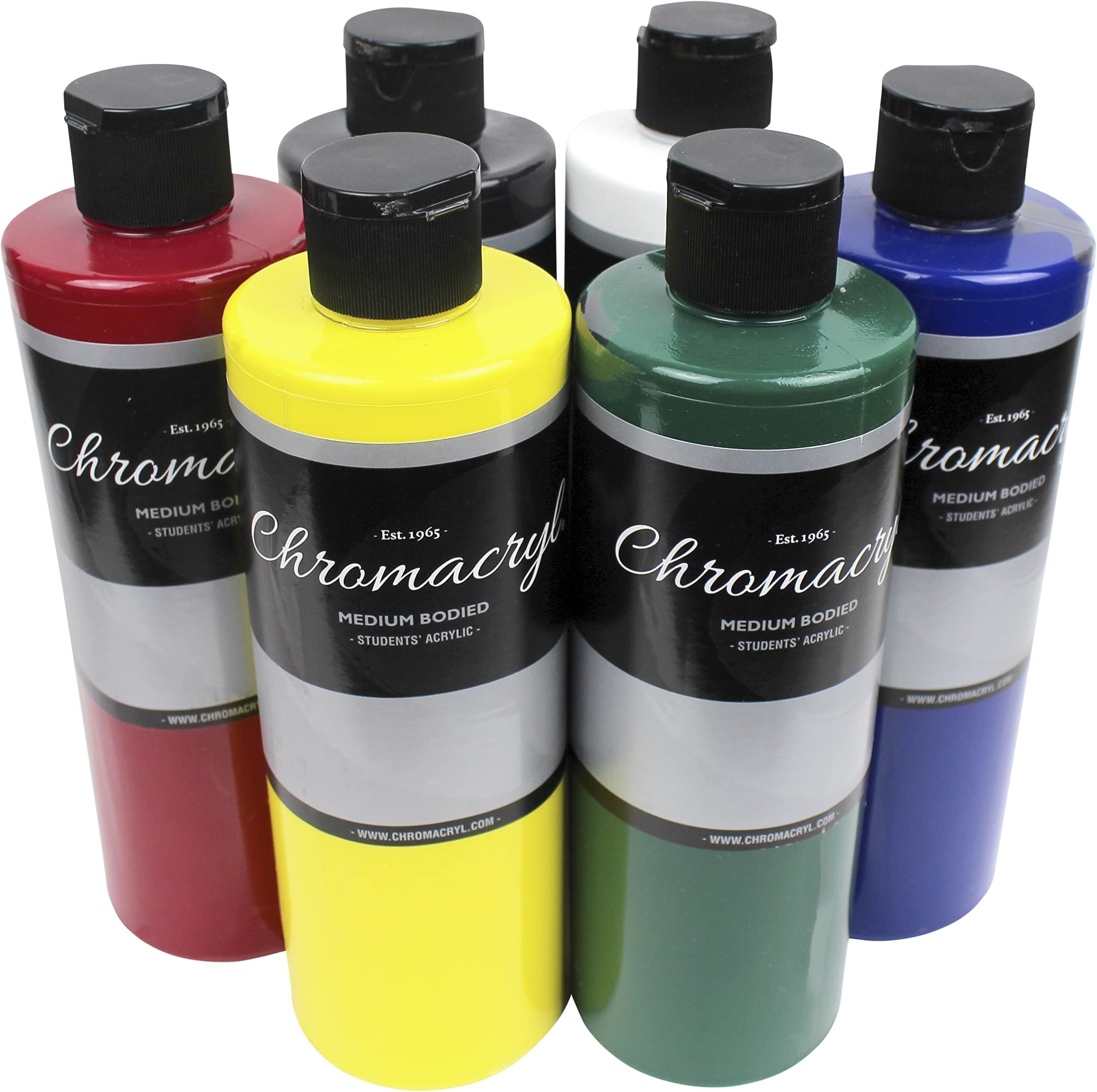 Amazon.com: Shuttle Art Acrylic Paint Set and Paint Brush Set Bundle ...