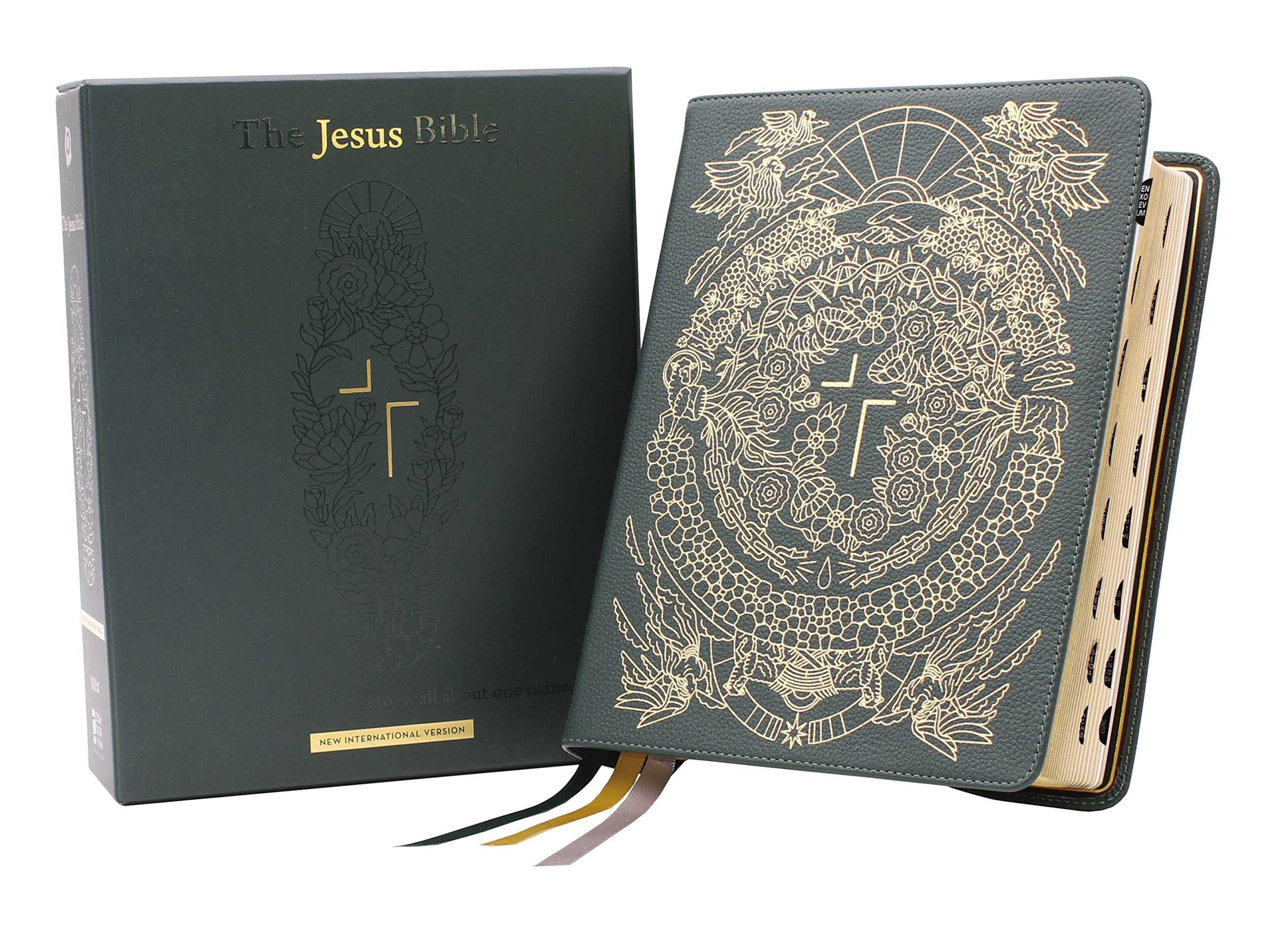 The Jesus Bible Artist Edition, NIV, (With Thumb Tabs to Help Locate ...
