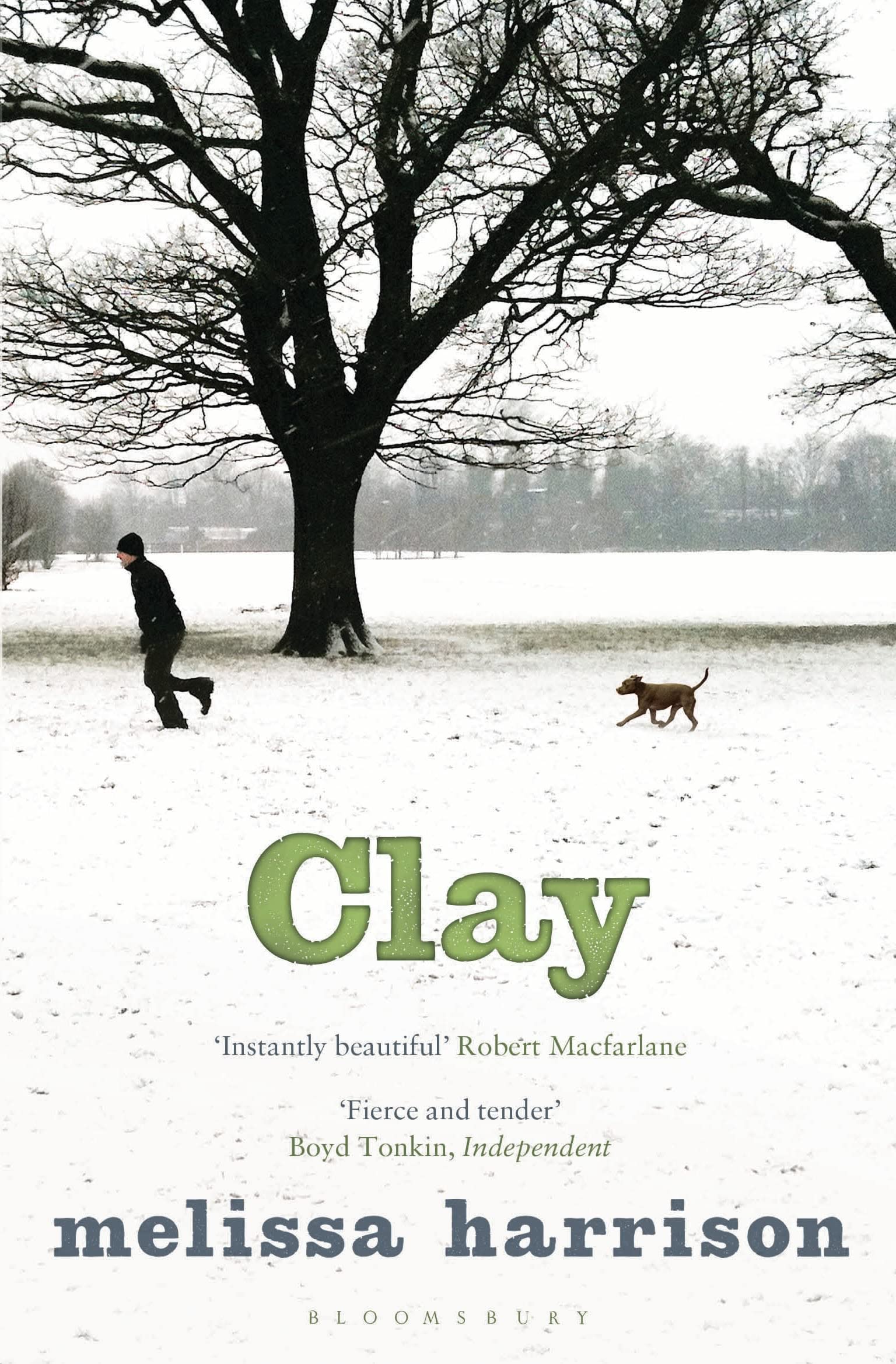 Clay: Harrison, Melissa: 9781408842553: Amazon.com: Books