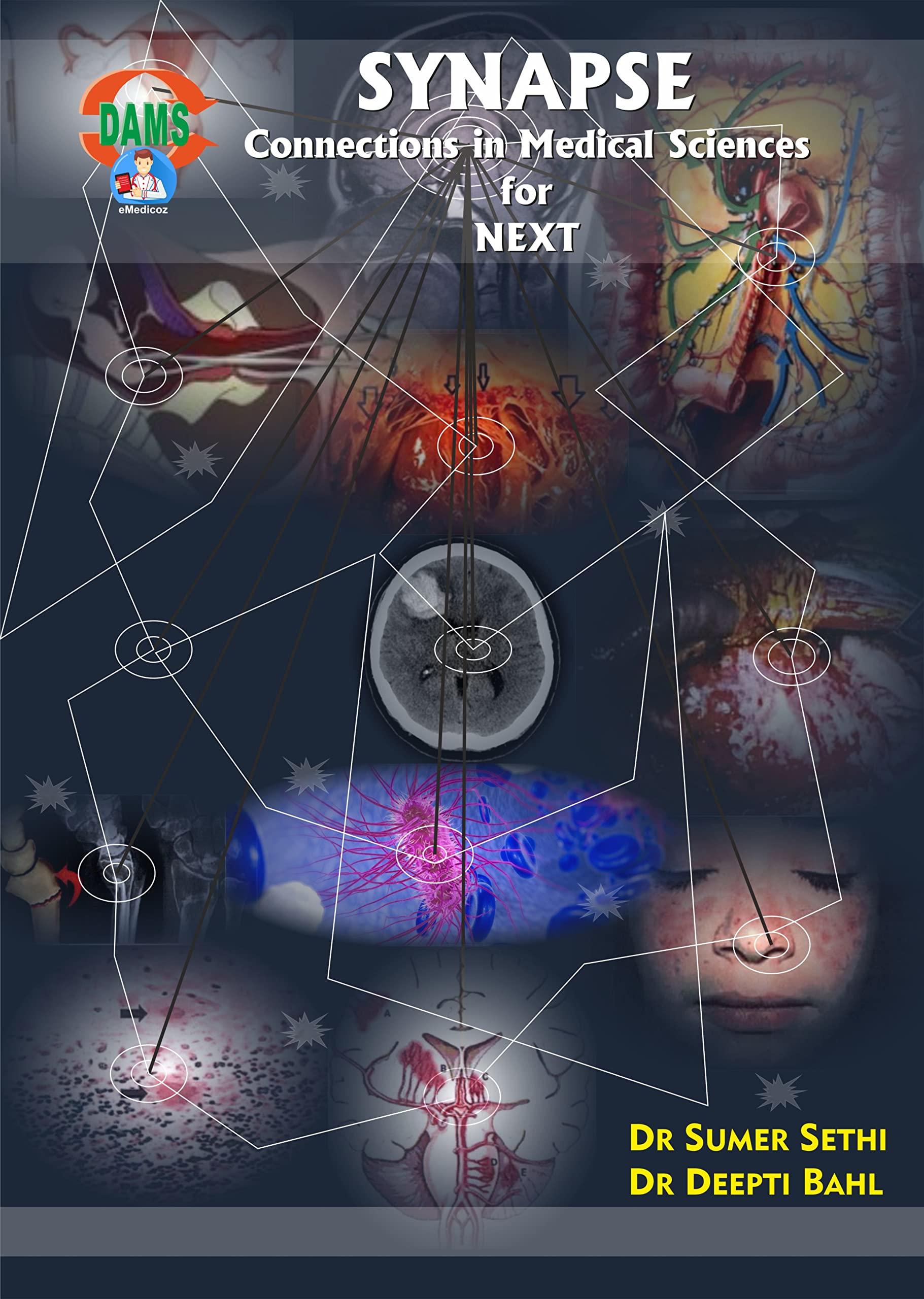 Buy SYNAPSE Connections in Medical Sciences for NEXT Book Online at Low Prices in India ...