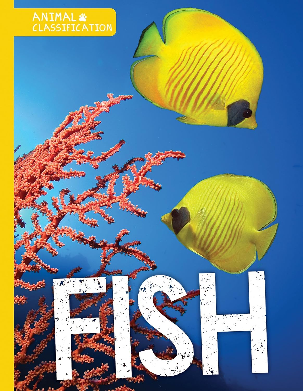 Fish (Animal Classification): Cavell-Clarke, Steffi: 9781534520097 ...