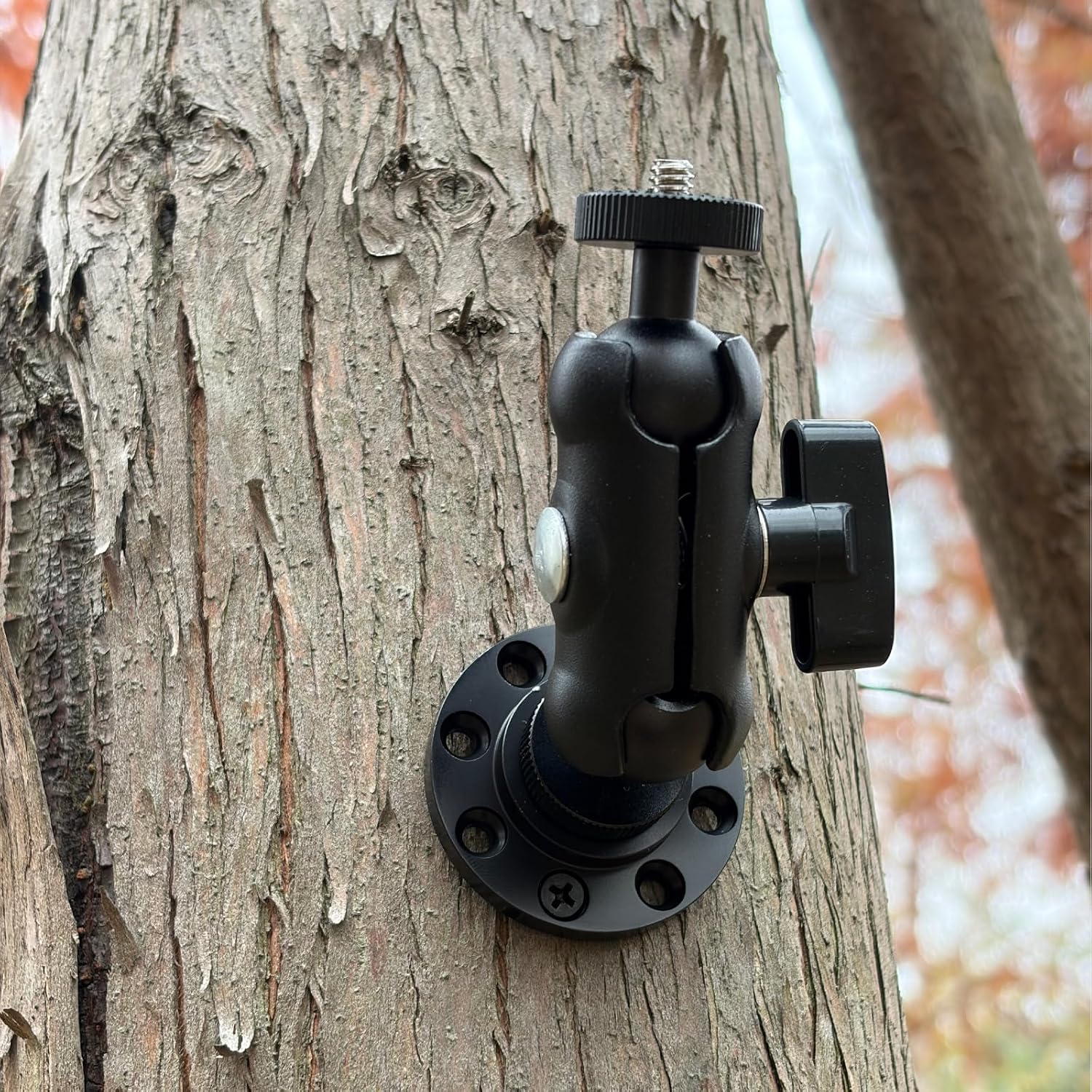 Amazon.com: Kuiming Heavy-Duty Trail Camera Mount | Adjustable ...