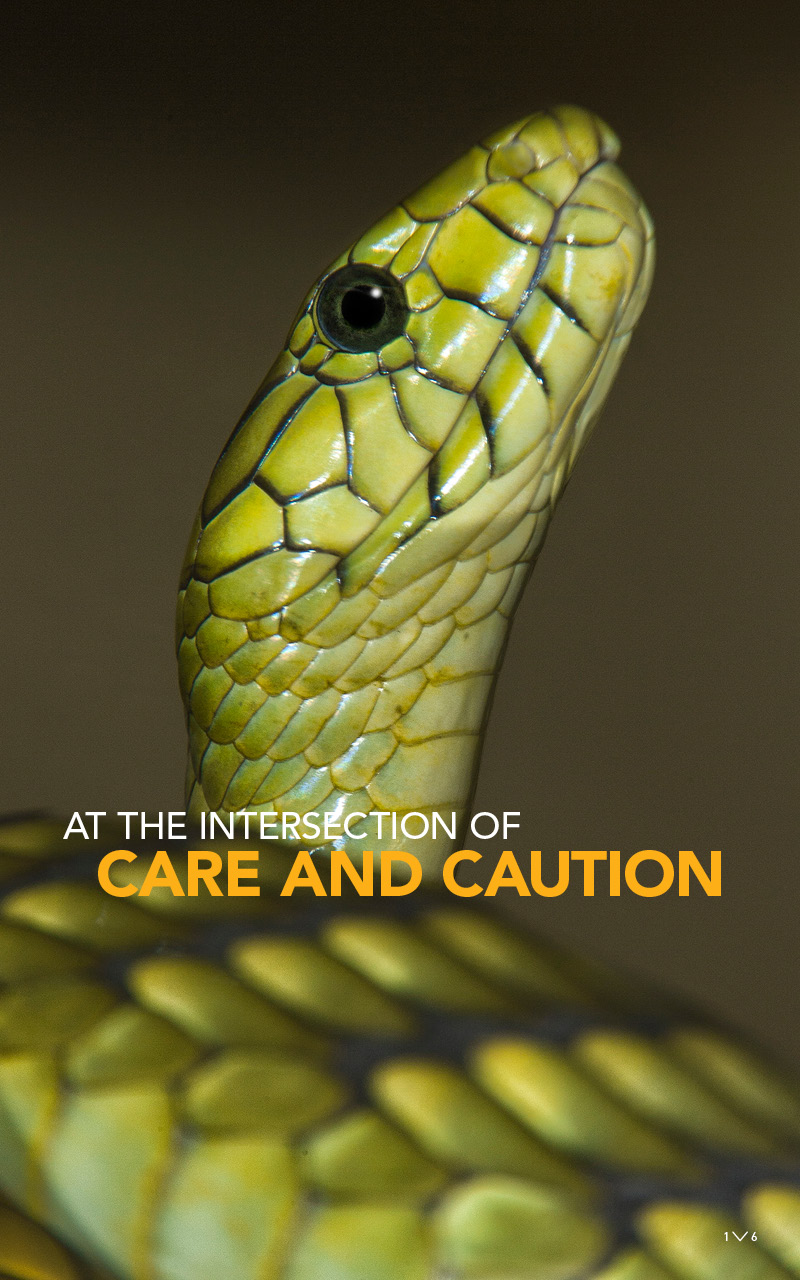 ZOONOOZ:Amazon.de:Appstore for Android