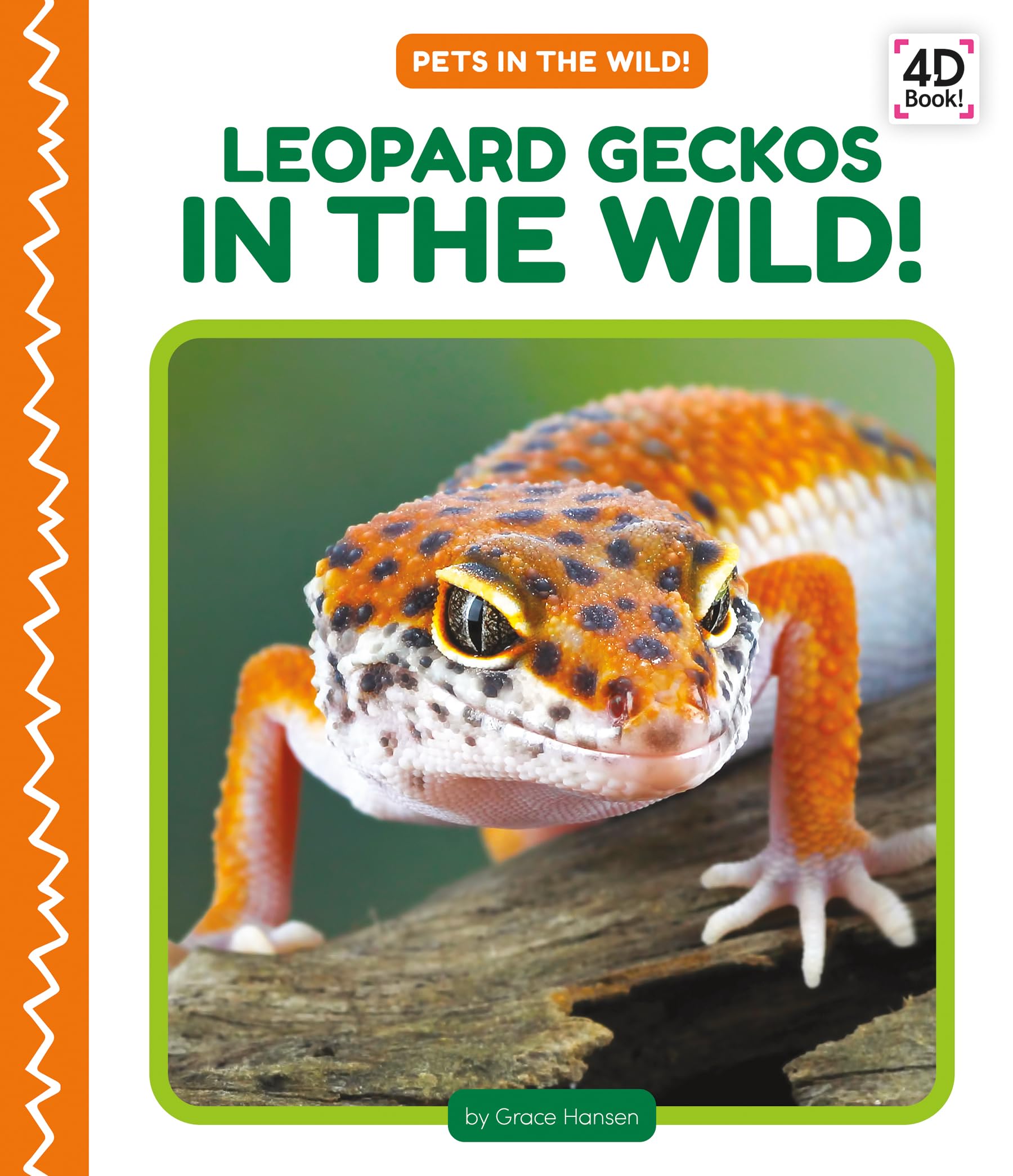 Leopard Geckos in the Wild! (Pets in the Wild!): Hansen, Grace ...