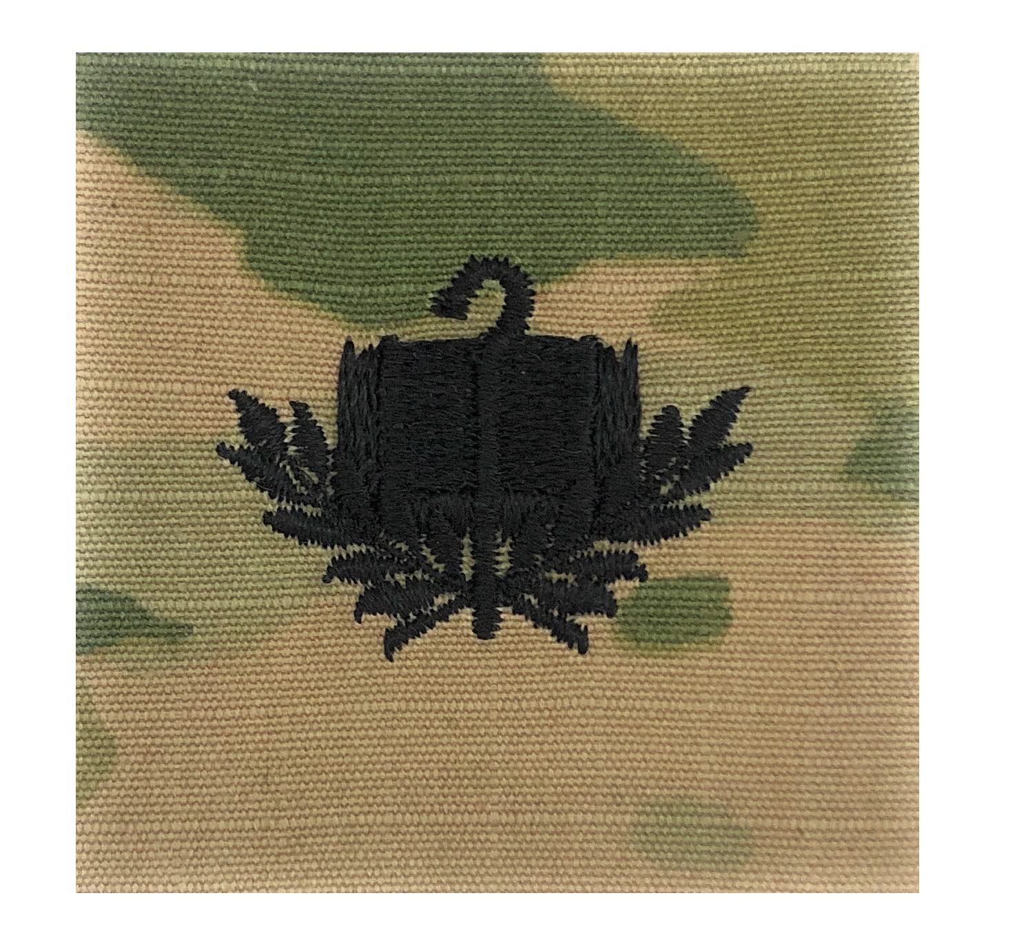 Amazon.com: Insignia Depot US Army Chaplain Candidate 2X2 OCP SEW ON ...