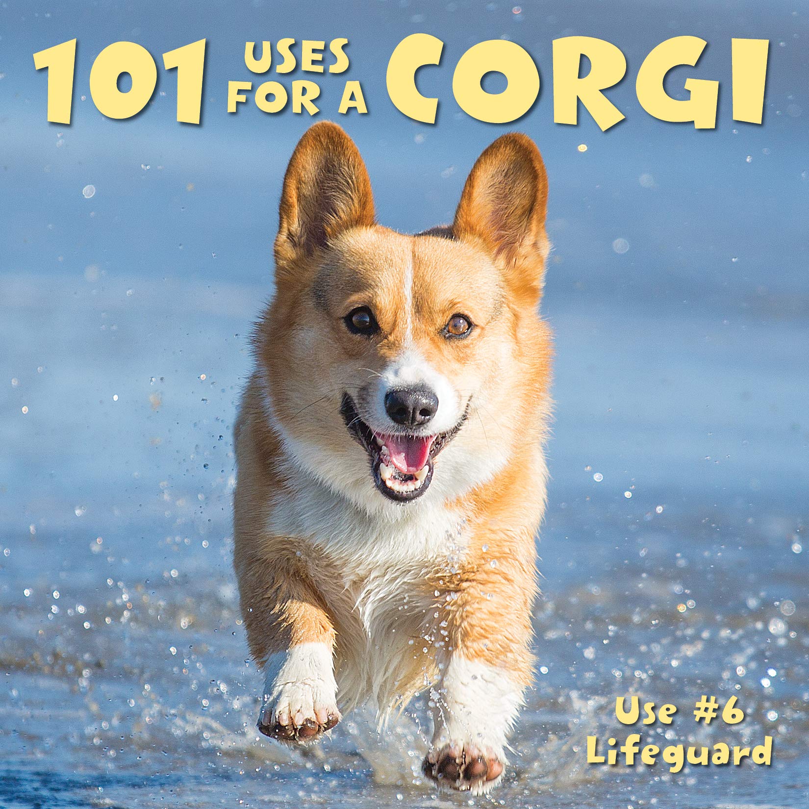 101 Uses For a Corgi: Willow Creek Press: 9781682348574: Amazon.com: Books