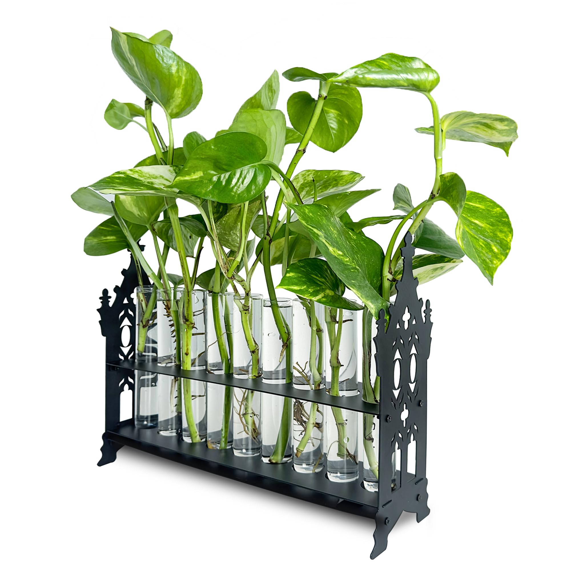 Amazon.com : JamJam Gothic Test Tube Stand Plant Propagation Station ...