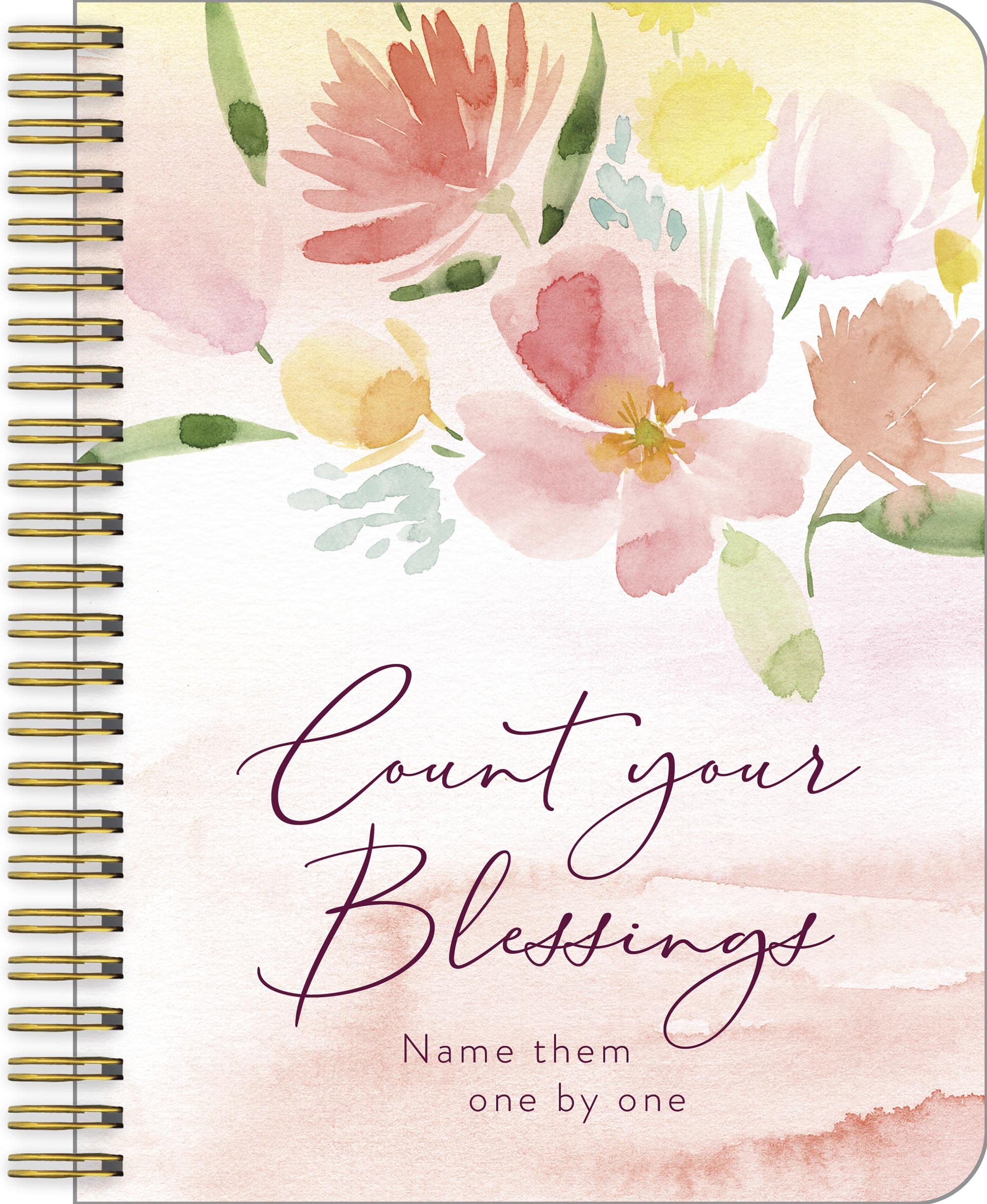 Amazon.com : Legacy Count Blessings Pink 8.25 x 6.5 Paper Medium Spiral ...