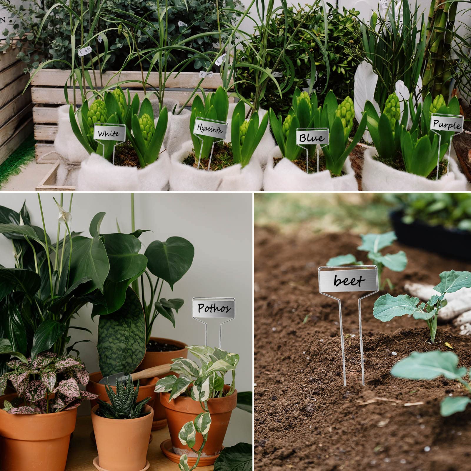 Snapklik.com : 30pcs Plant Labels Plant Markers For Outdoor Plants ...