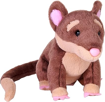 Amazon.com: Wild Republic Rainforest Four Eyed Opossum, Stuffed Animal ...
