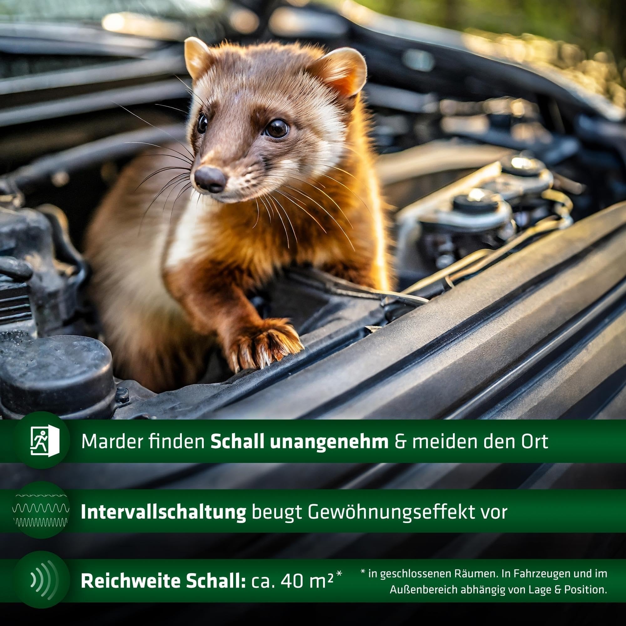 Smart Car Squirrel Memes Free AI Video Generator Turn Text & Image