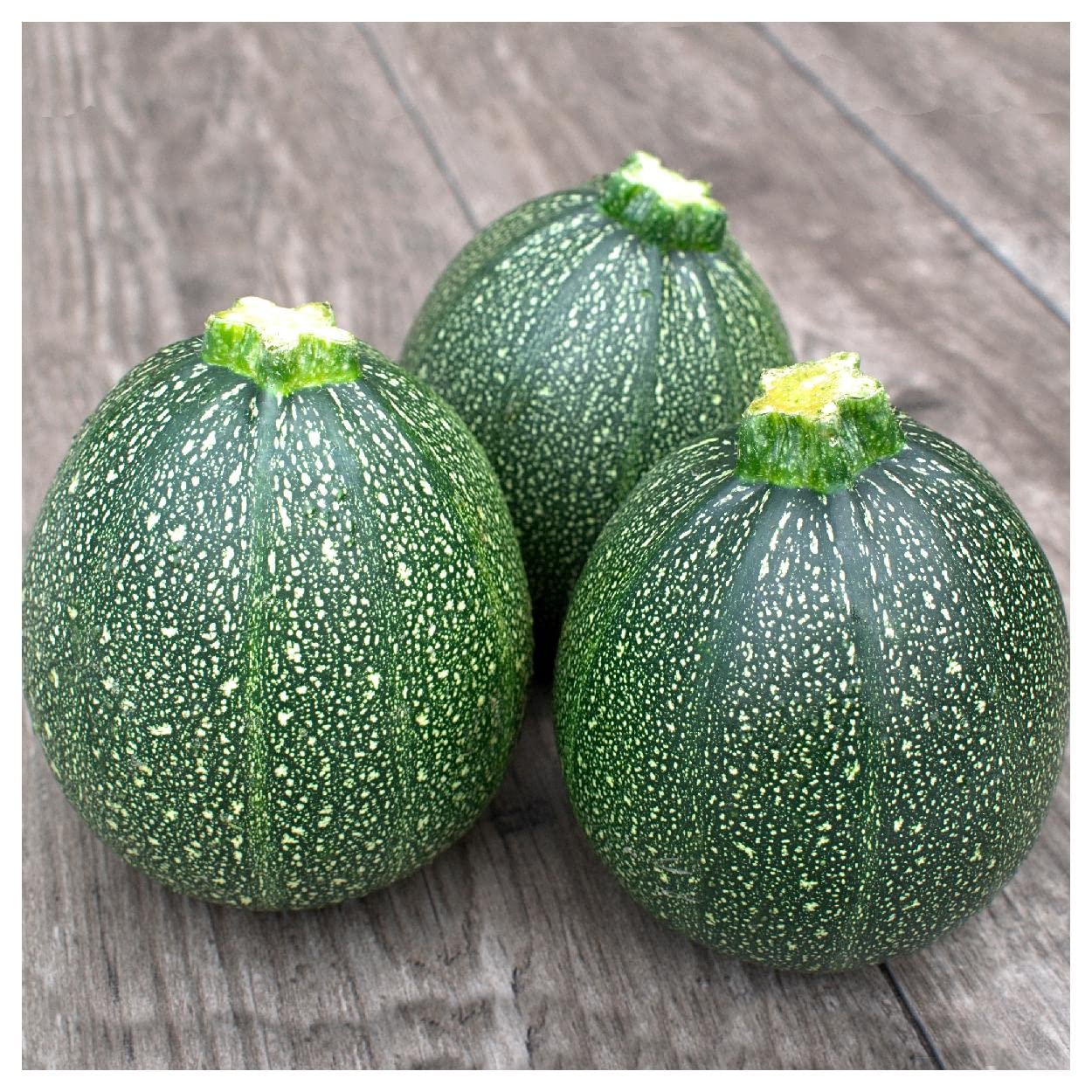 Calabaza Vegetal