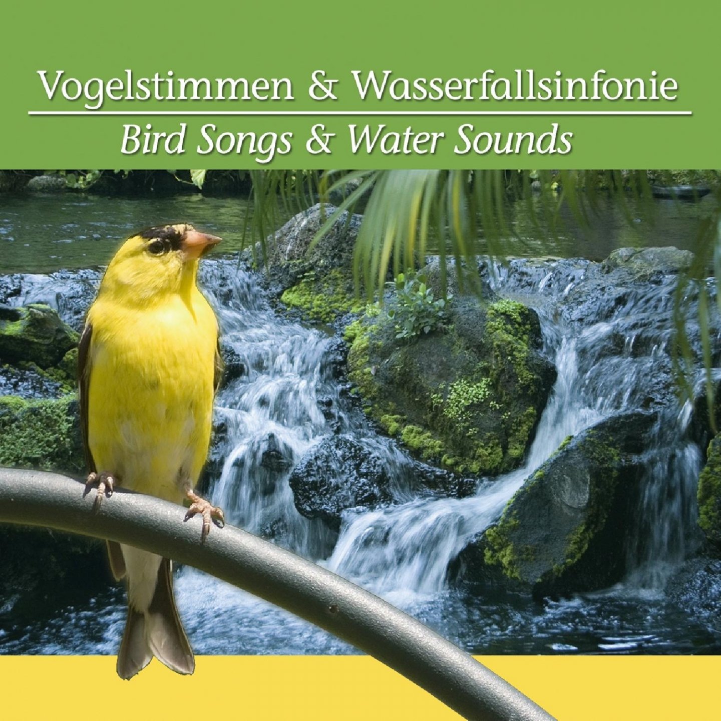 Amazon.com: Bird Songs & Water Sounds: CDs & Vinyl