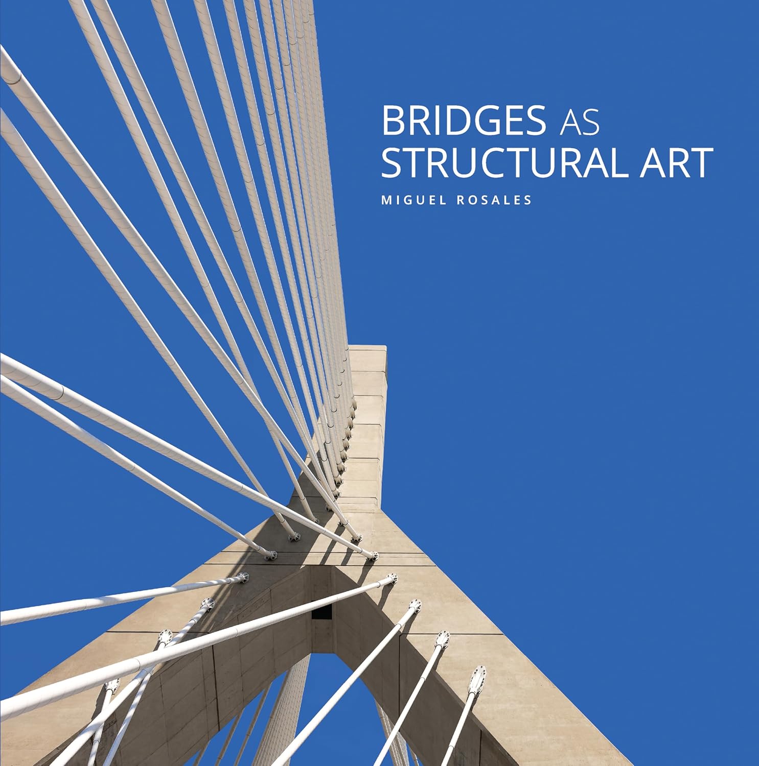Bridges as Structural Art: Rosales, Miguel: 9781961856158: Amazon.com ...