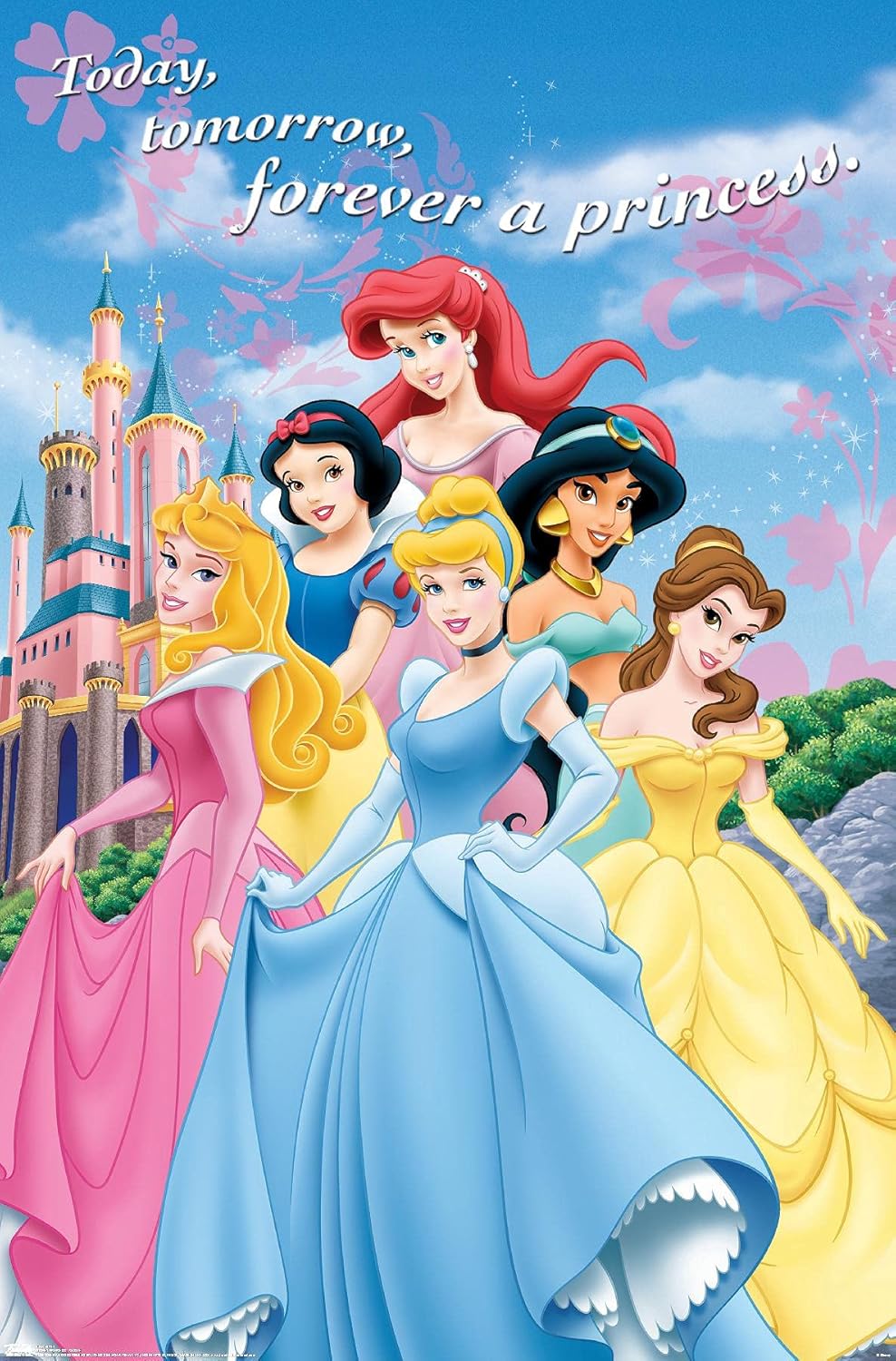 Amazon.com: Trends International Disney Princess - Castle Wall Poster ...
