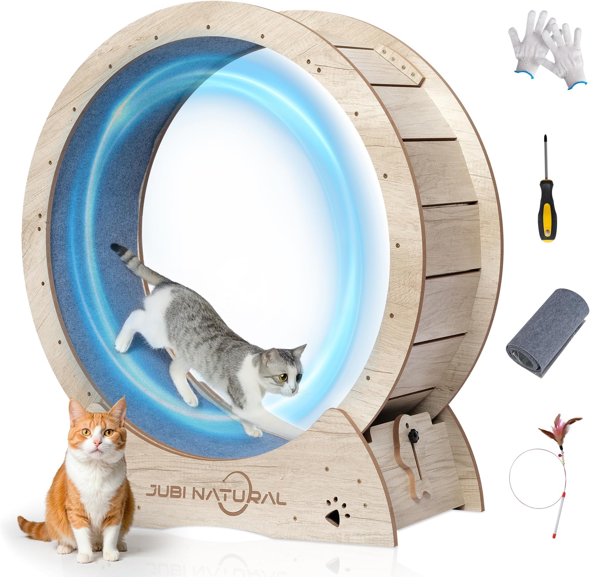 Amazon.com: Cat Wheel for Indoor Cats, Cat Exercise Running Wheel with ...