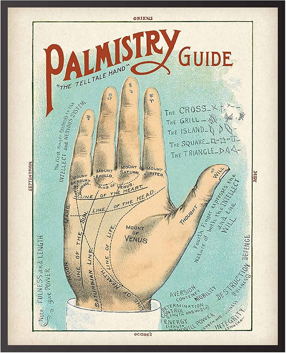 Amazon.com: Poster Master Palmistry Guide Illustration Poster, 8x10 ...