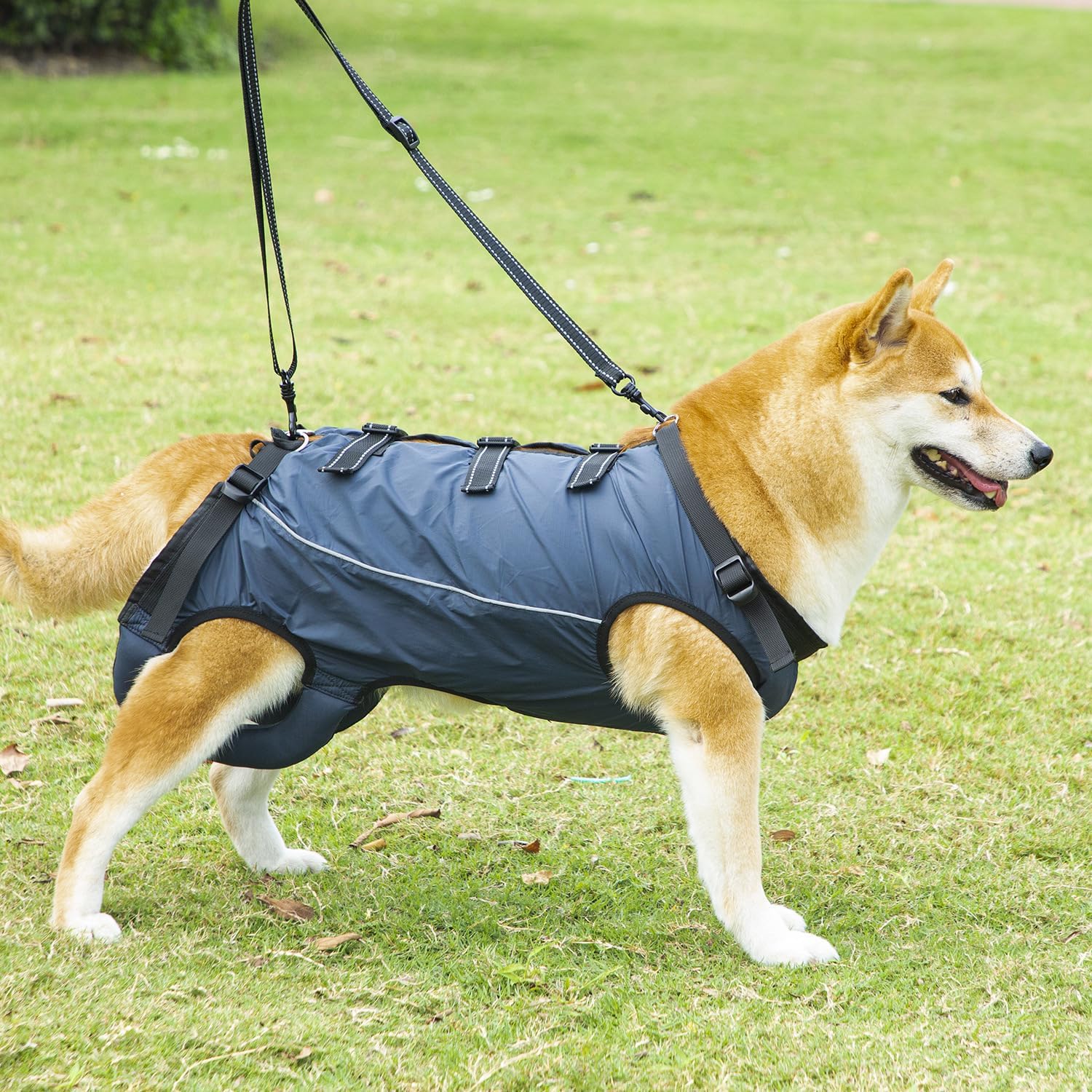 Amazon.com : LAROTSUBA Dog Lift Harness,Dog Assistance Strap,Pet ...